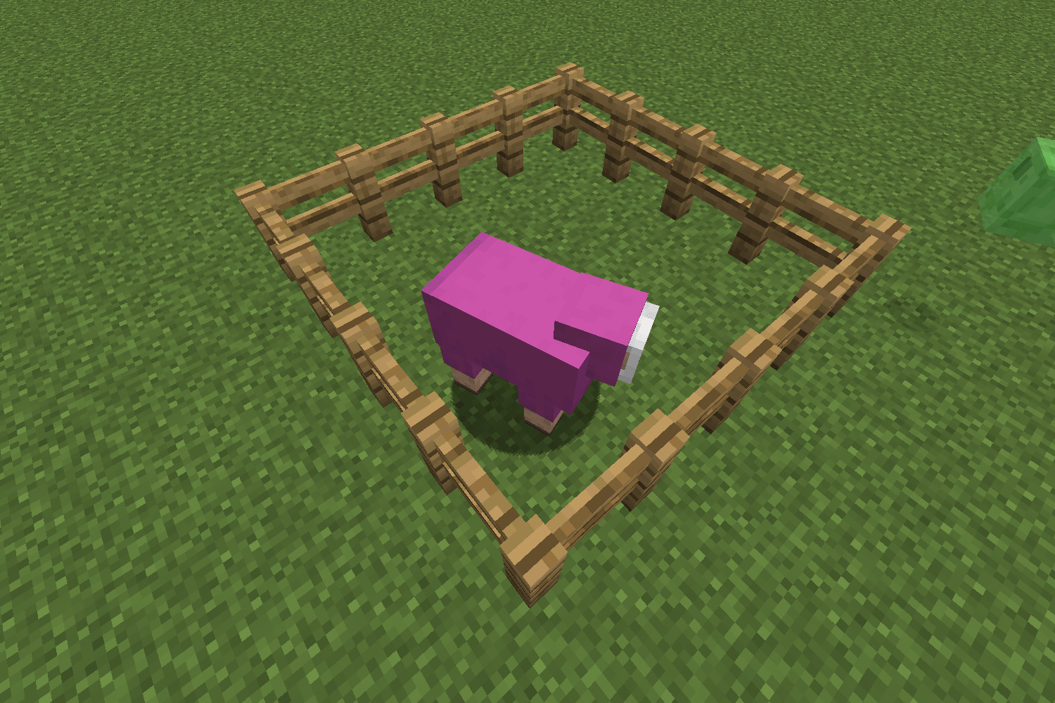 Minecraft Sheep Colors
