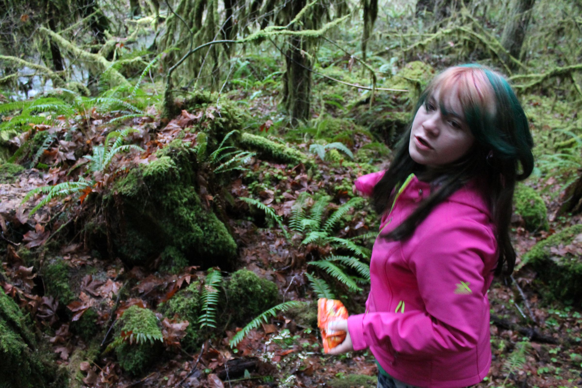 Letterboxing: the Secret Scavenger Hunt Game : 12 Steps (with Pictures ...