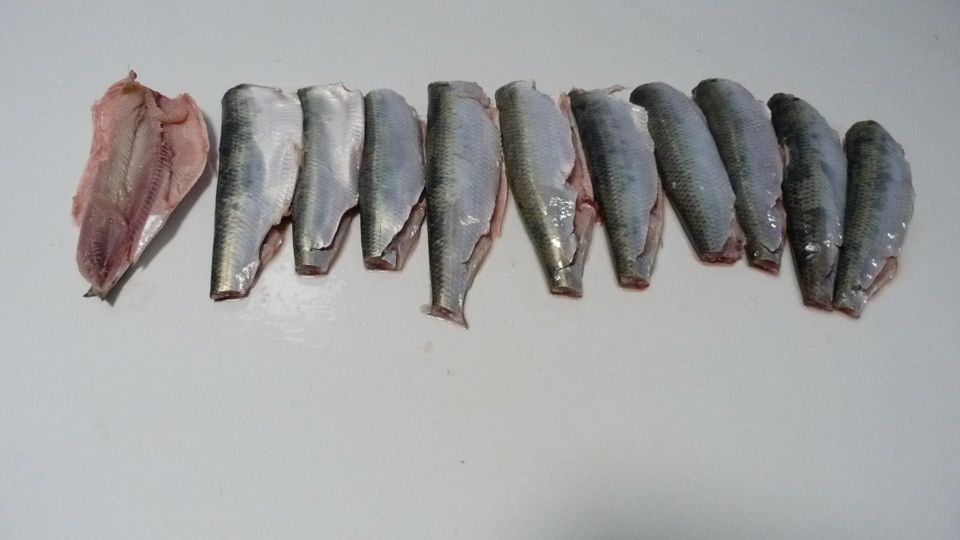 Cooking Without Fire: Preserved Danube Mackerel : 5 Steps - Instructables