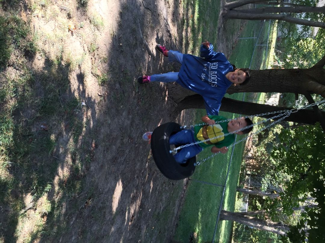 How to Make a Tire Swing! : 18 Steps (with Pictures) - Instructables