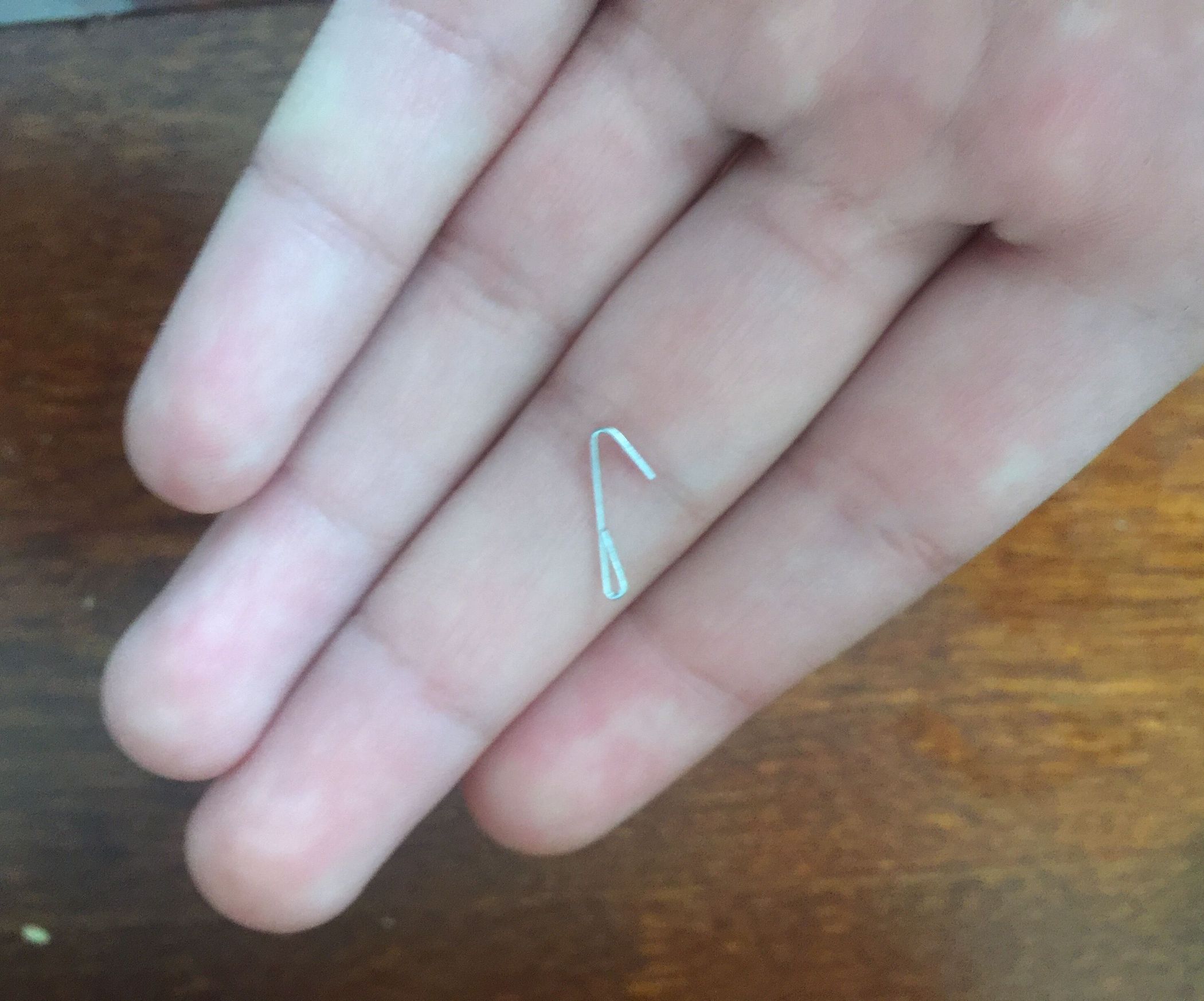 How to Make an Easy Fishing Hook Out of a Staple : 4 Steps - Instructables