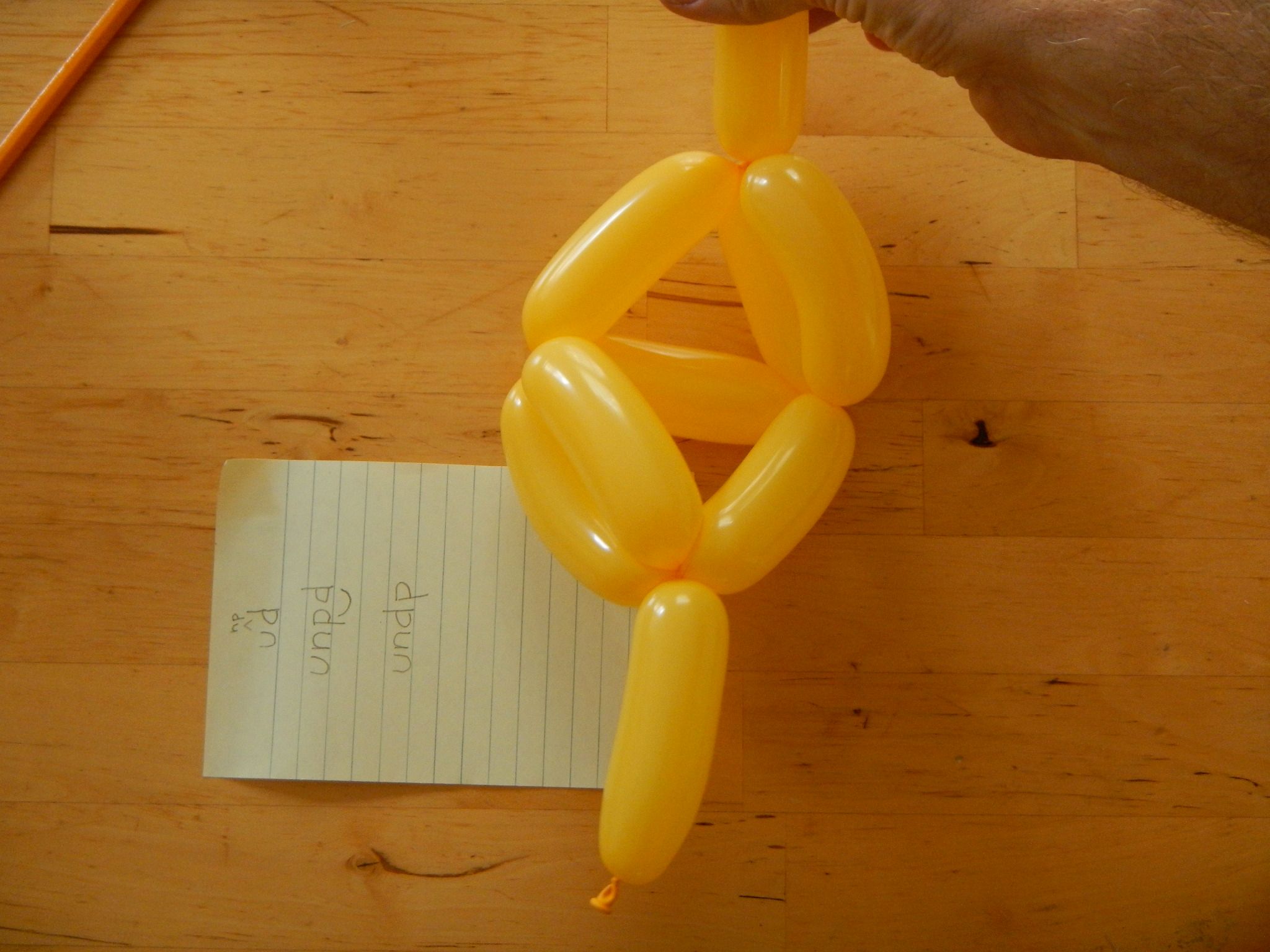 How to Evolve a Balloon Animal : 5 Steps (with Pictures) - Instructables