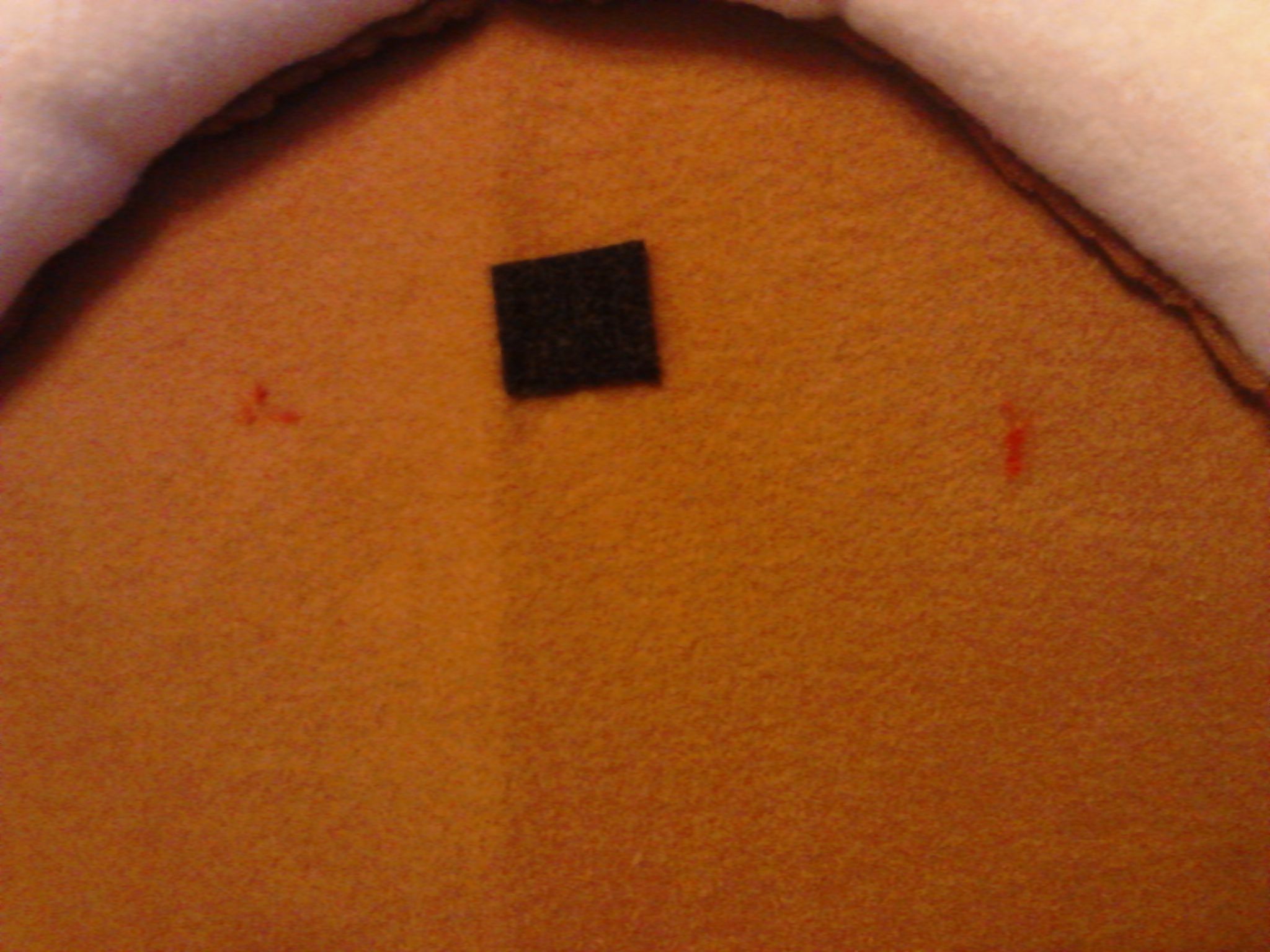 Squirtle Costume : 7 Steps - Instructables