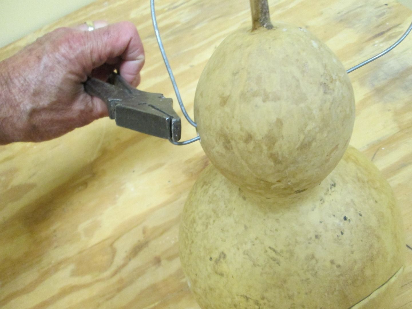 Build a Gourd Birdhouse : 8 Steps (with Pictures) - Instructables