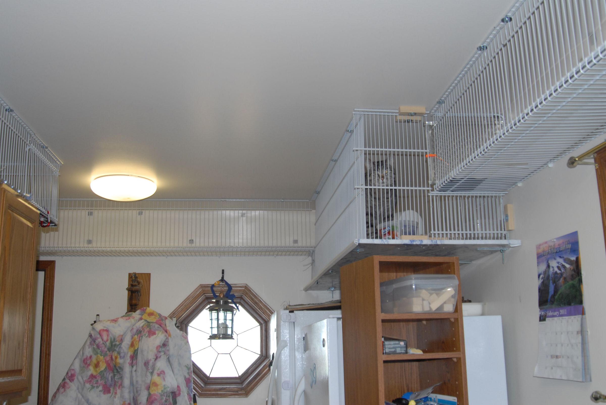 Cat Enclosure - Tunnel, Save Space ('CatWalk Is My Road' - AKahn ...