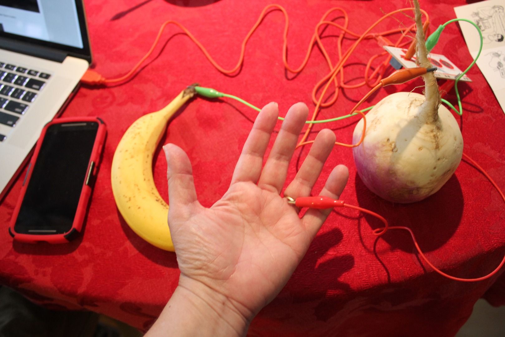 Playing With Your Food Ala MaKey MaKey : 4 Steps - Instructables