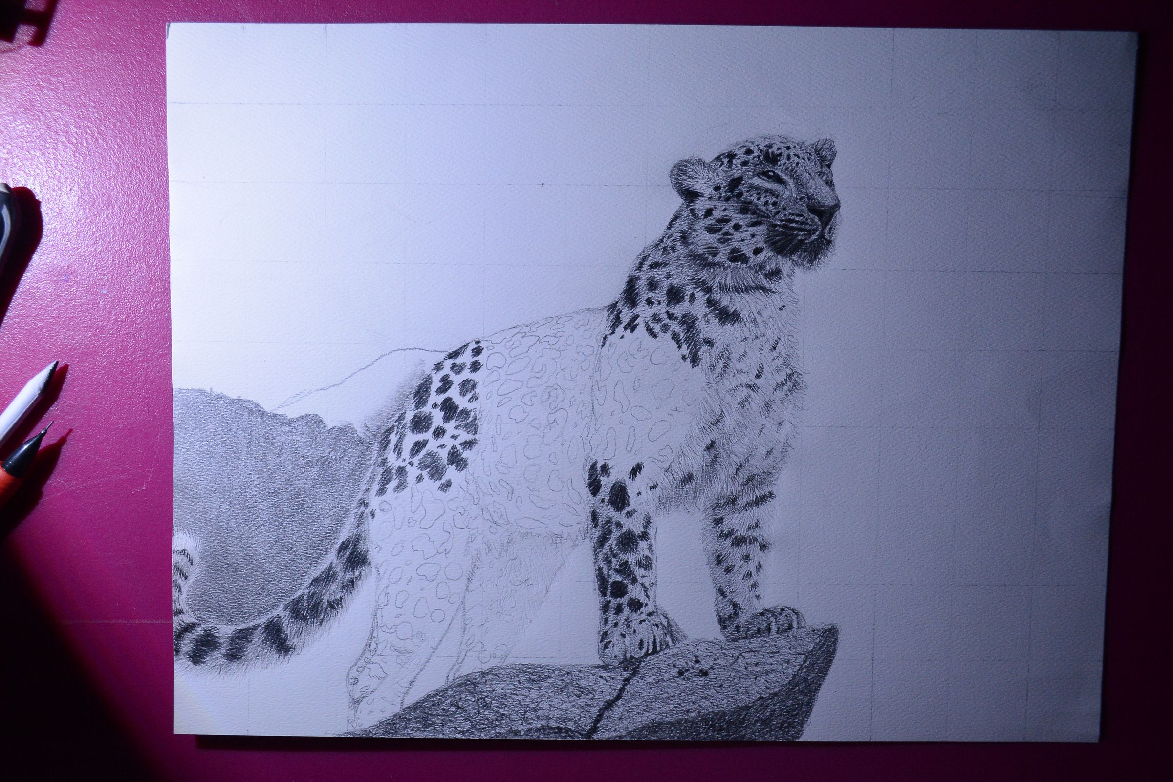 How to Draw an Amur Leopard on Pastel Paper : 5 Steps - Instructables