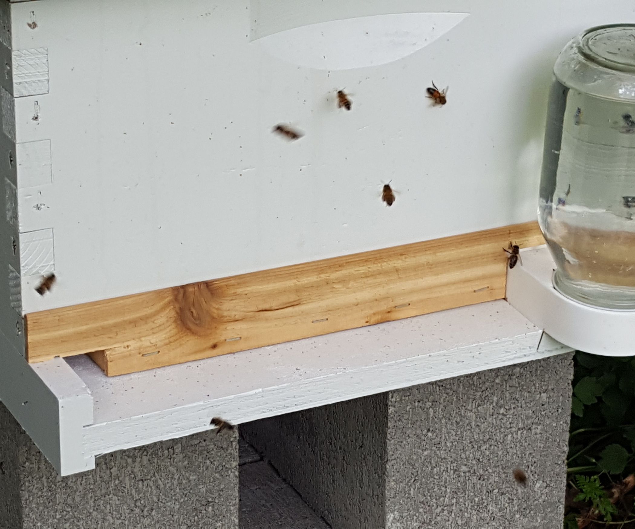 Bee Hive Door : 3 Steps - Instructables