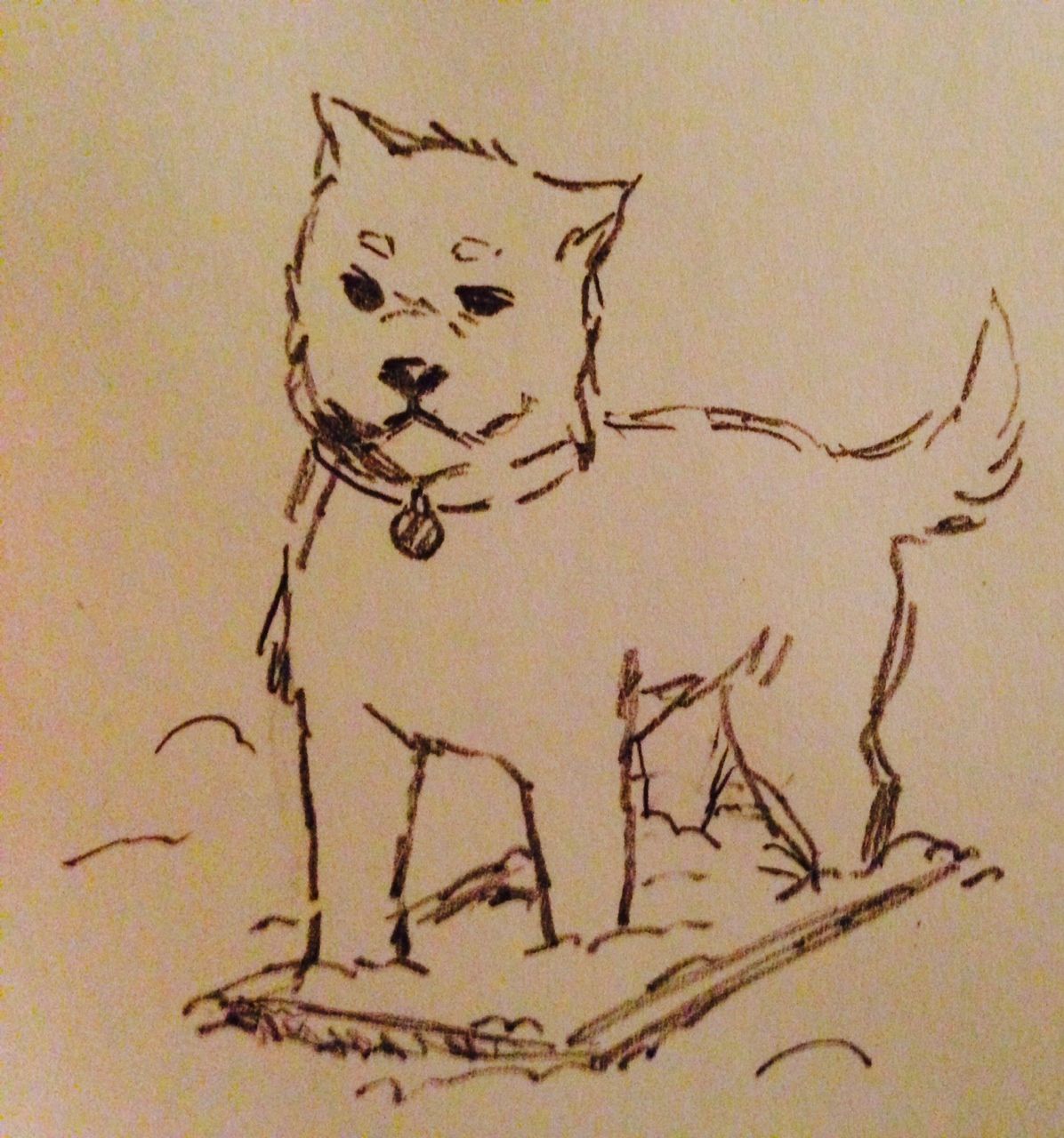 How to Make a Snow Dog Sculpture : 3 Steps - Instructables