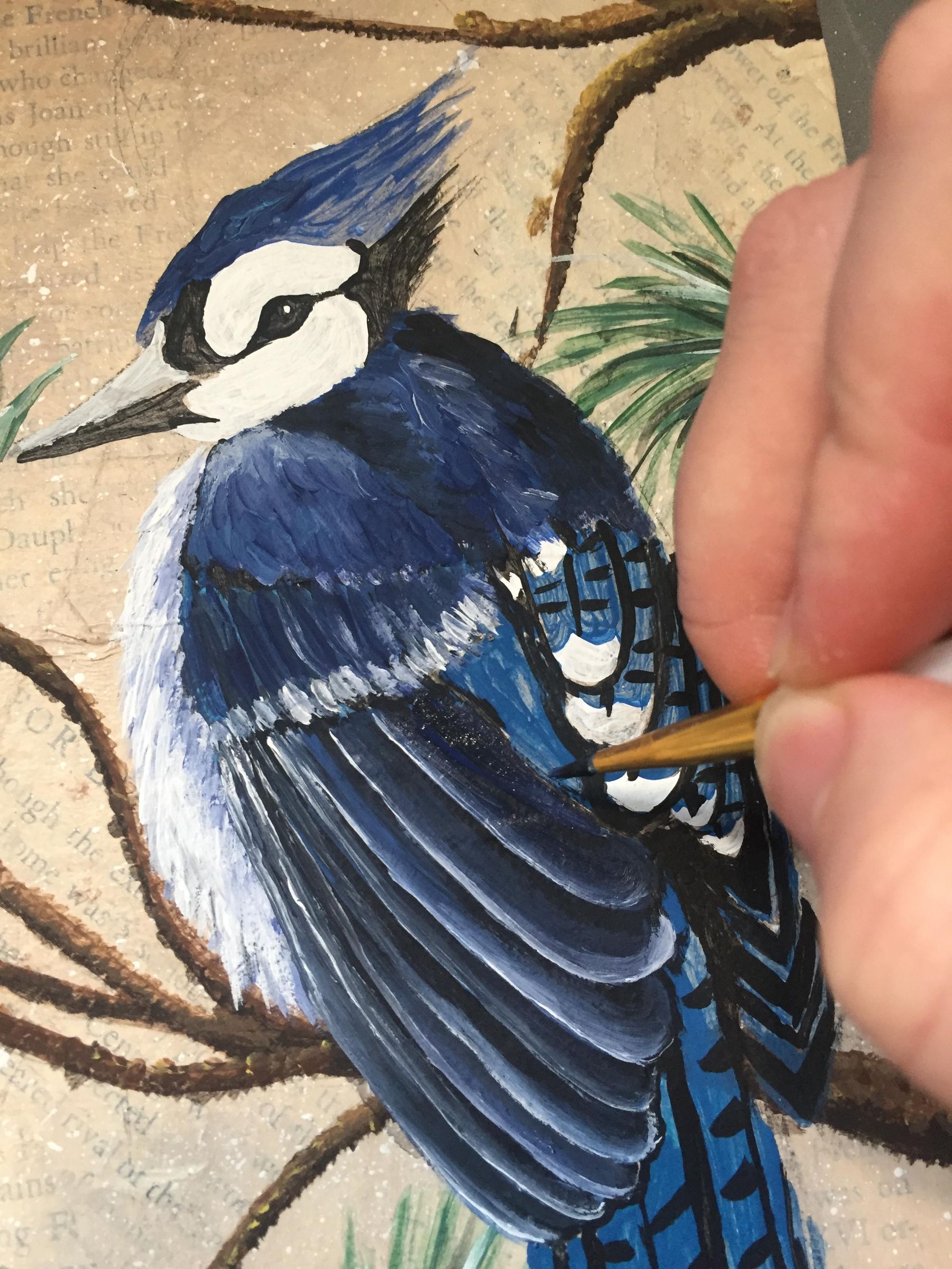 How to Paint a Blue Jay on a Branch. : 13 Steps (with Pictures ...