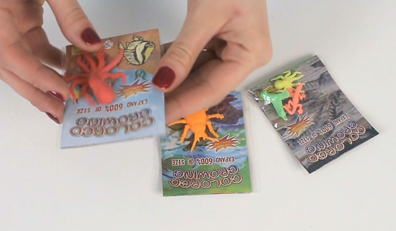 Amazing Diy Experiment | Growing Creatures : 5 Steps - Instructables