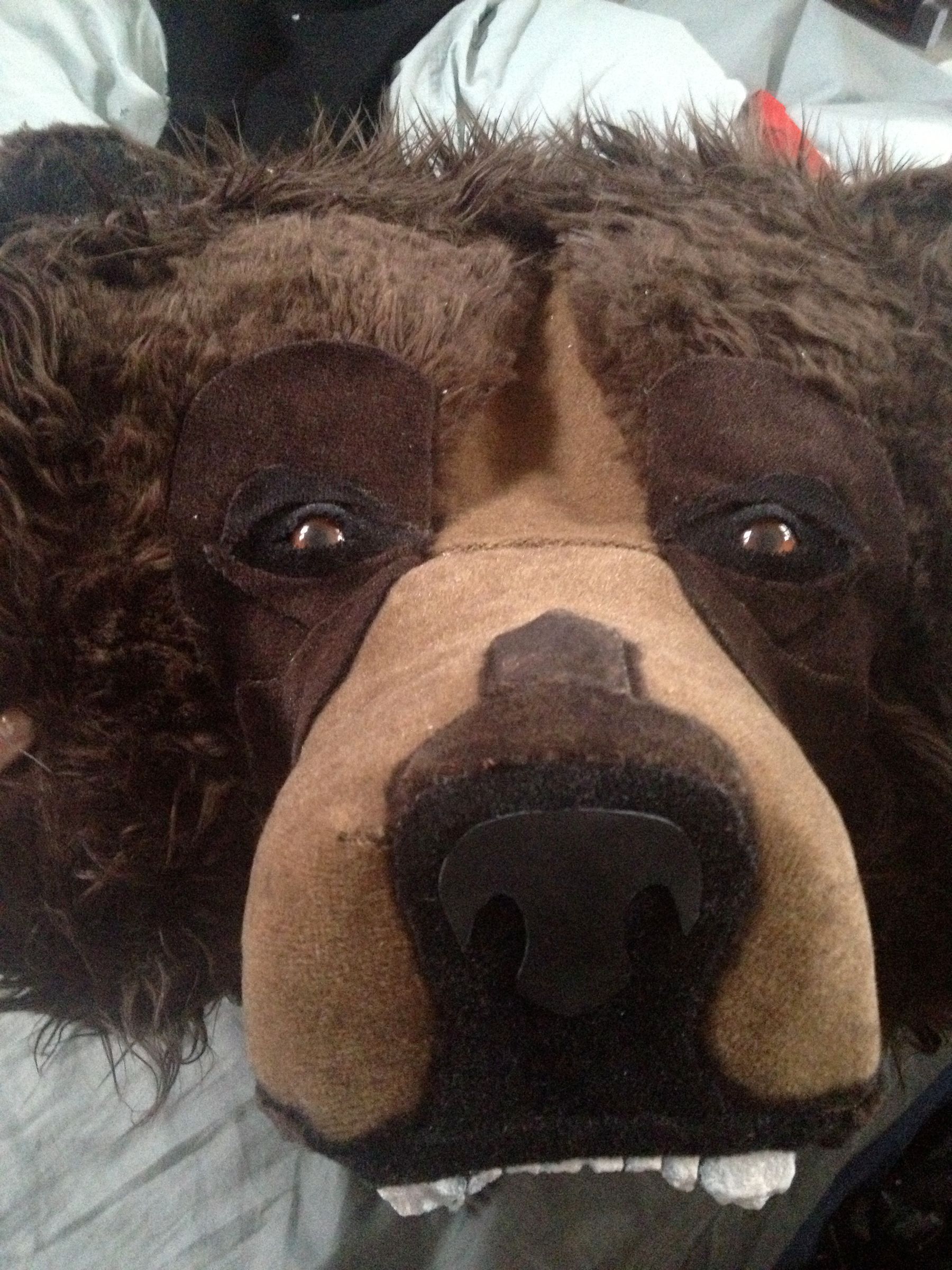 Realistic Bear Head Costume