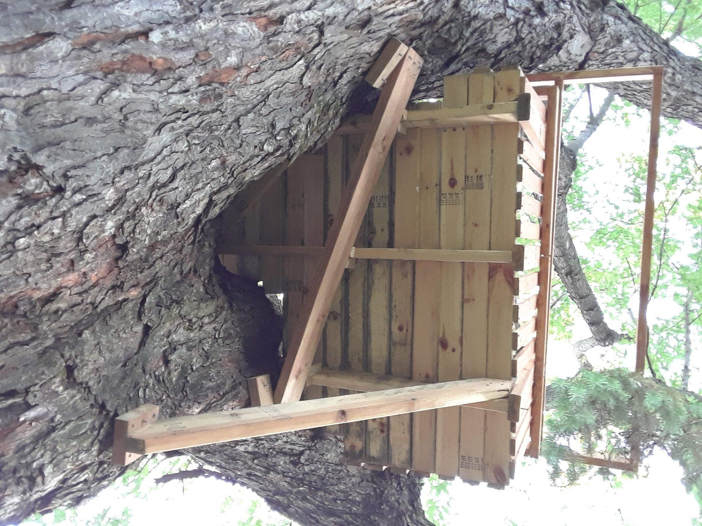 Tree House With Bench and Pulley System : 11 Steps - Instructables