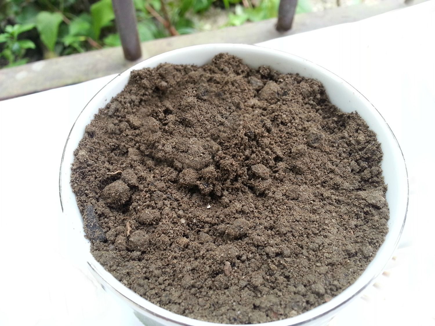 DIY Cup Garden : 9 Steps (with Pictures) - Instructables