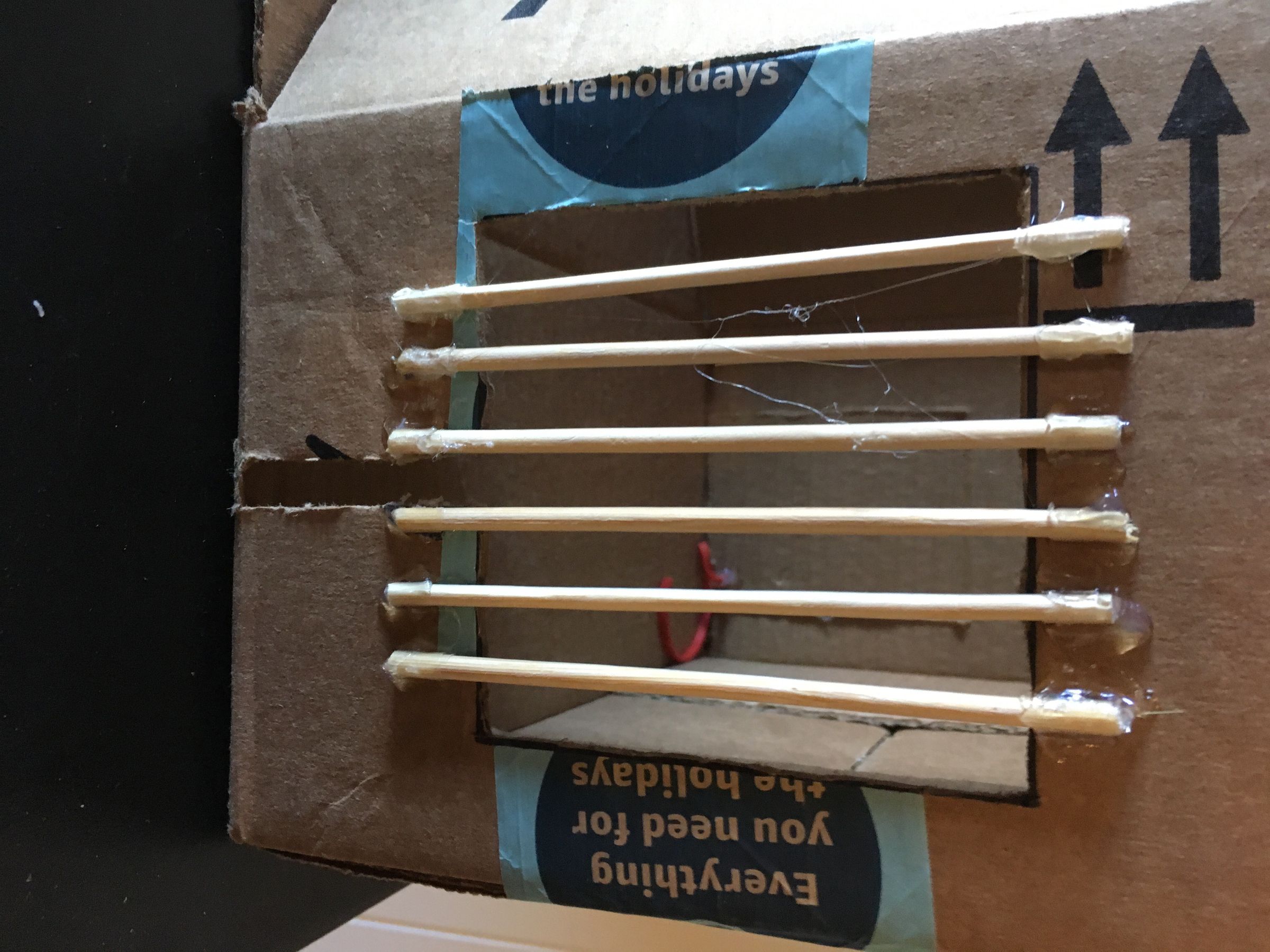 Cardboard Bird Trap : 6 Steps - Instructables