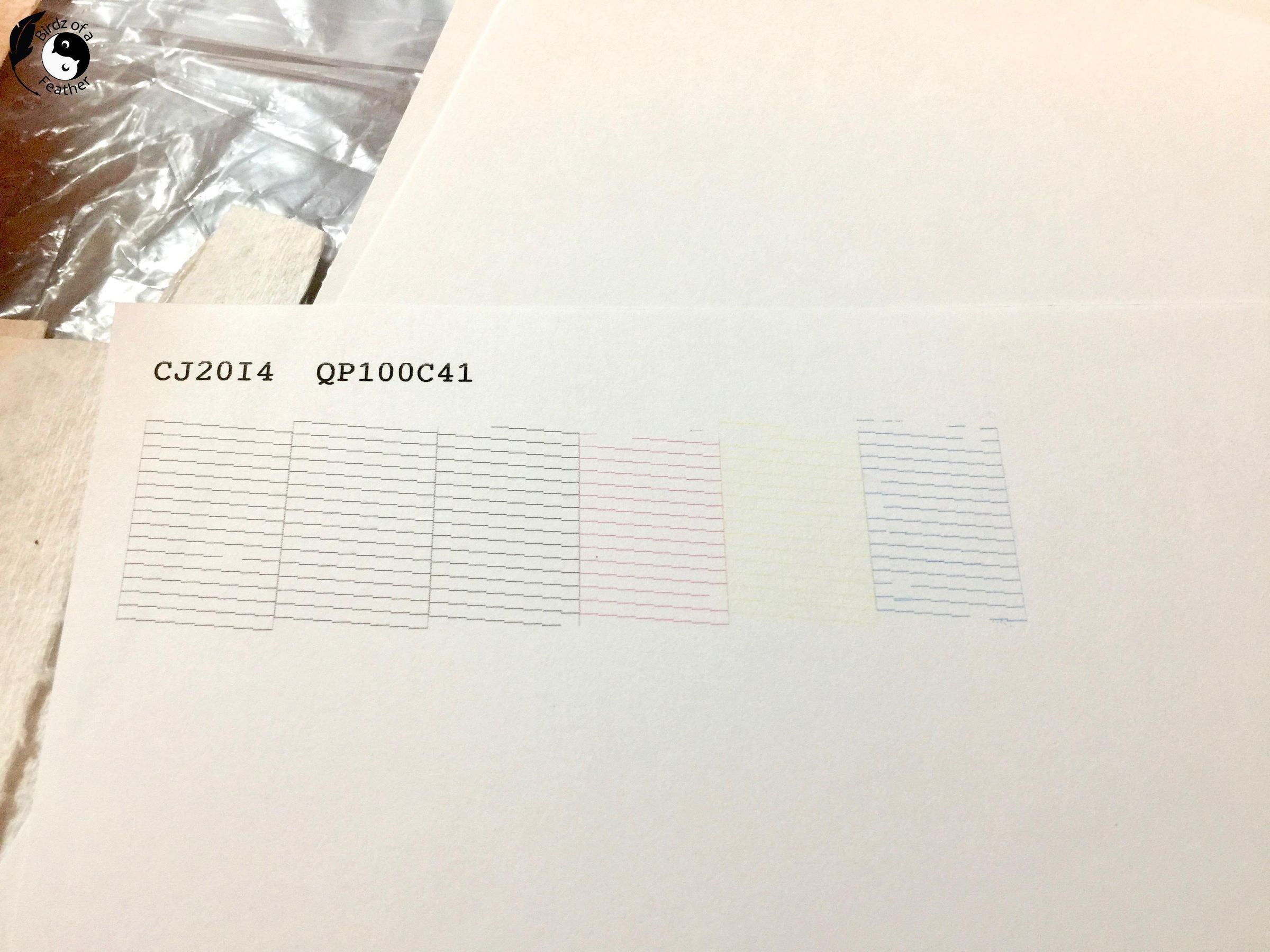 How to Fix Your Printer and Keep It Out of Landfill! : 10 Steps (with ...