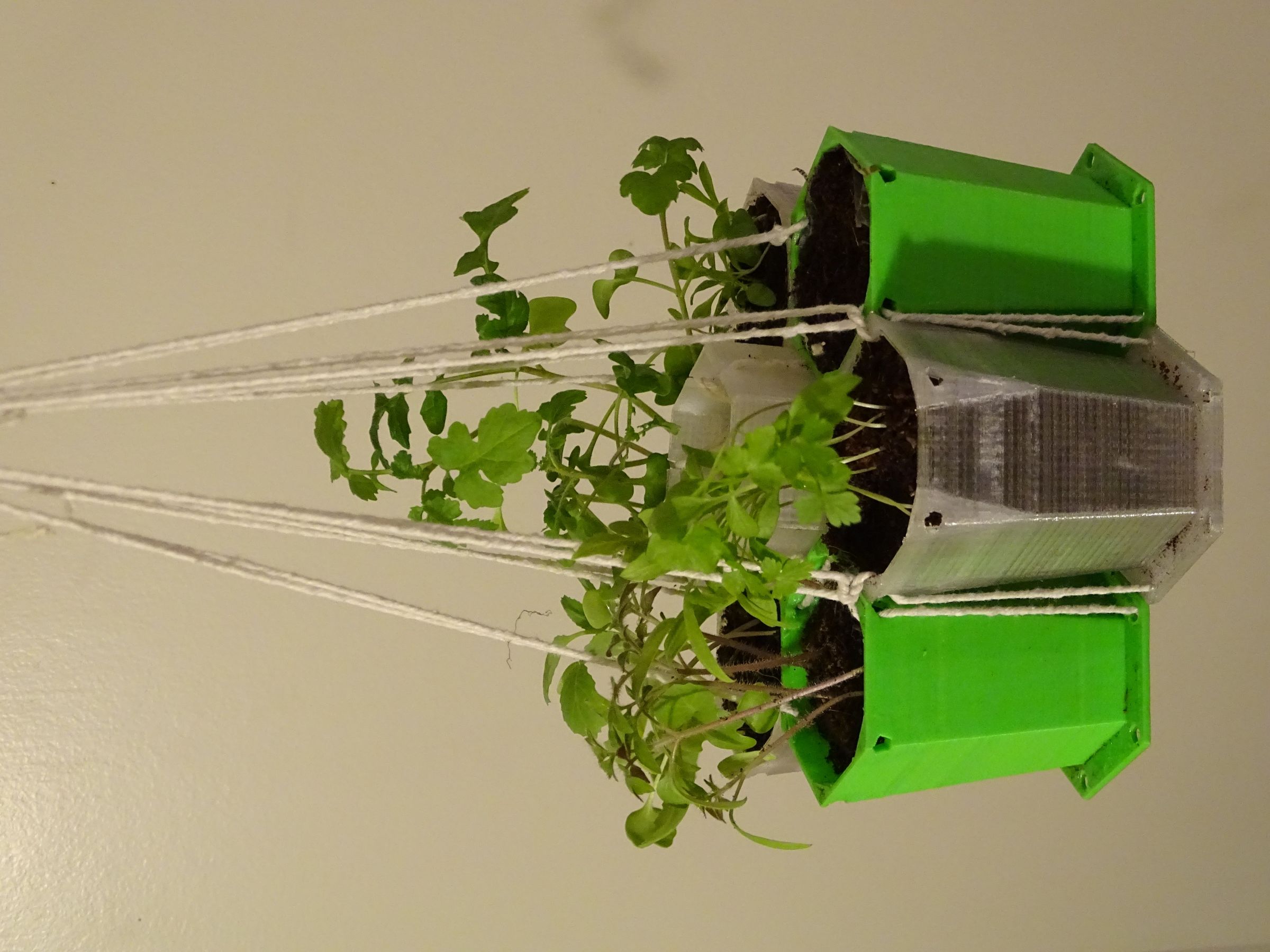 Modular Seedling Planters : 8 Steps (with Pictures) - Instructables