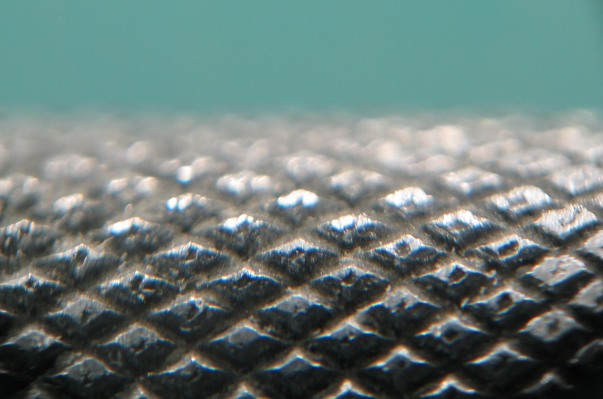 Another DIY Micro-Macro Lens : 14 Steps (with Pictures) - Instructables