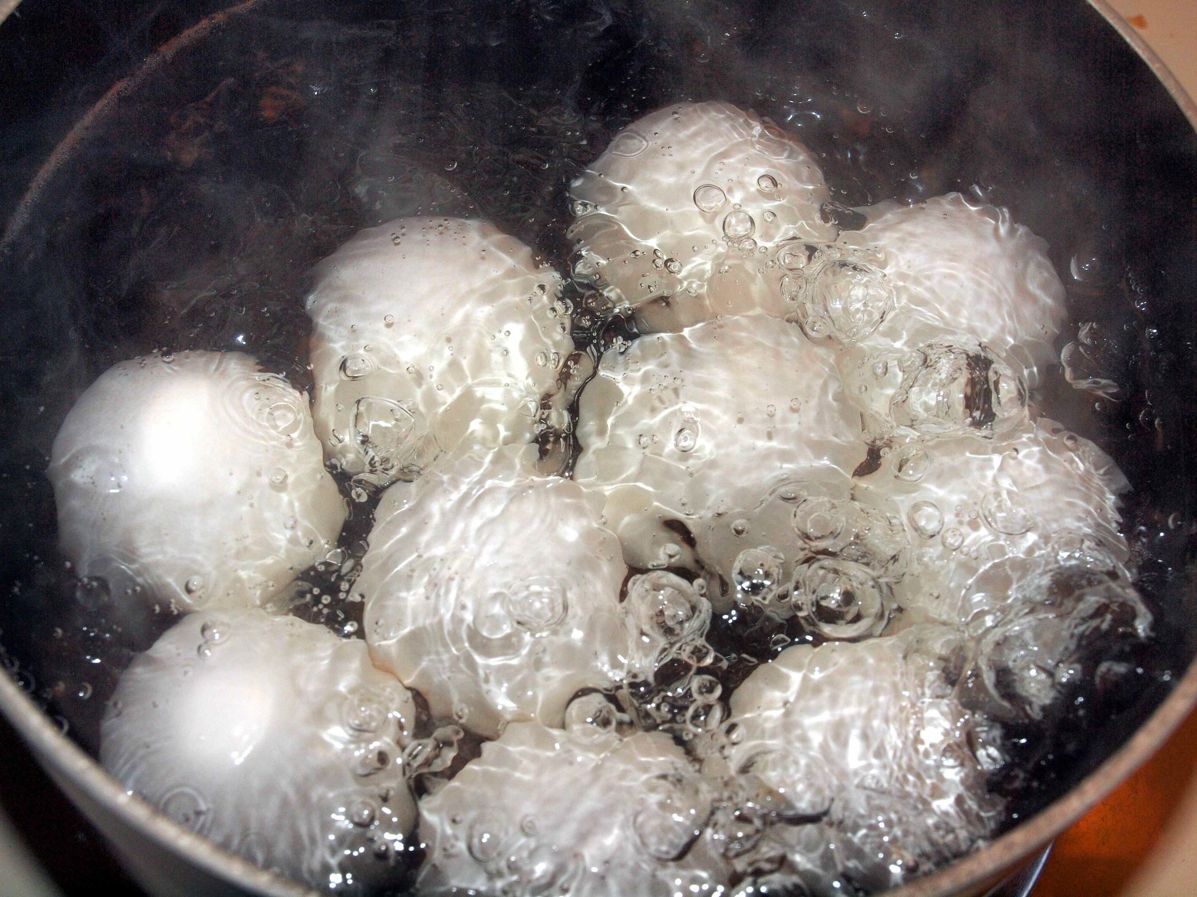 Creamed Eggs on Toast : 5 Steps - Instructables