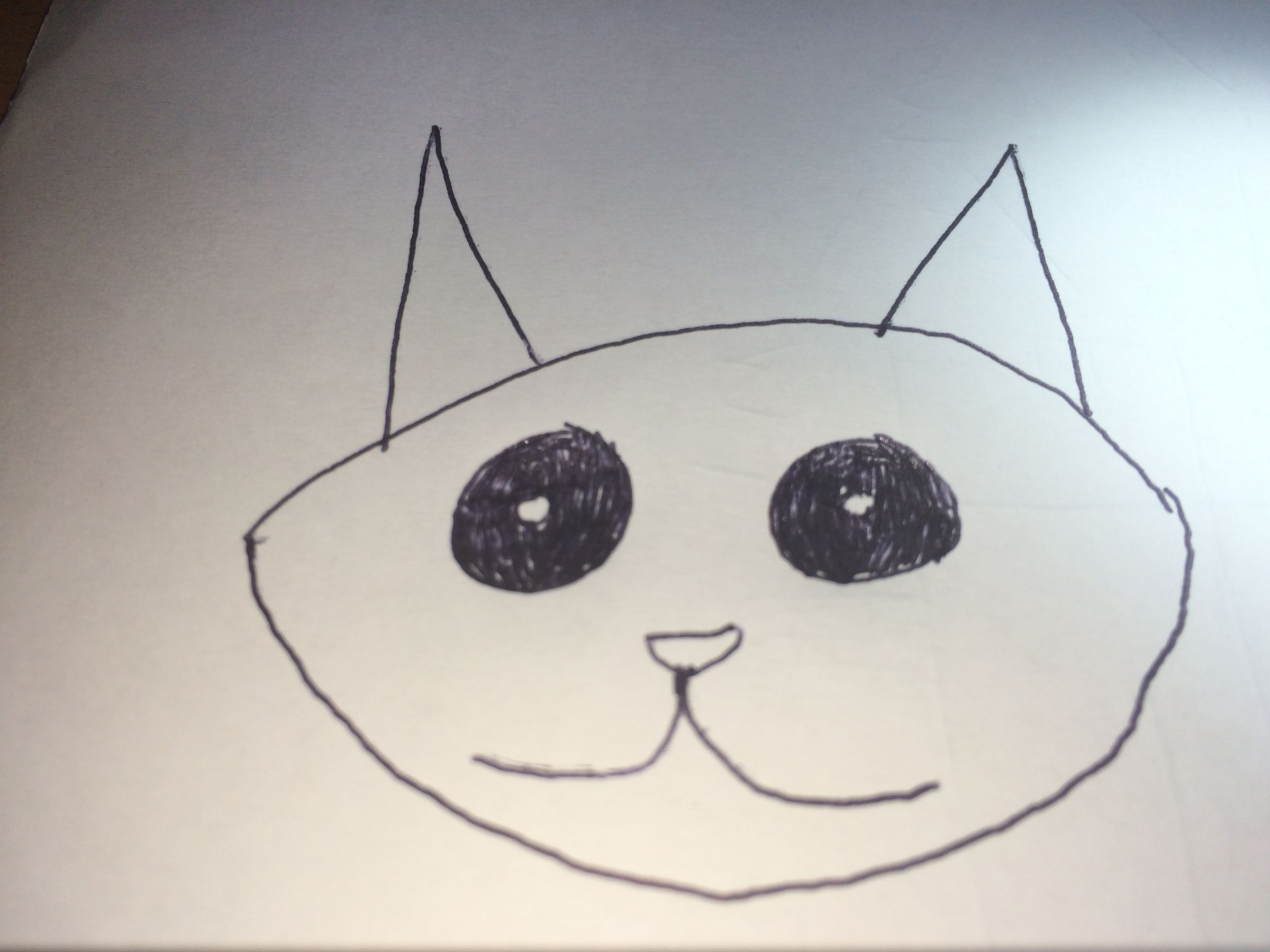 How to Draw a Simple Cartoon Cat : 12 Steps - Instructables