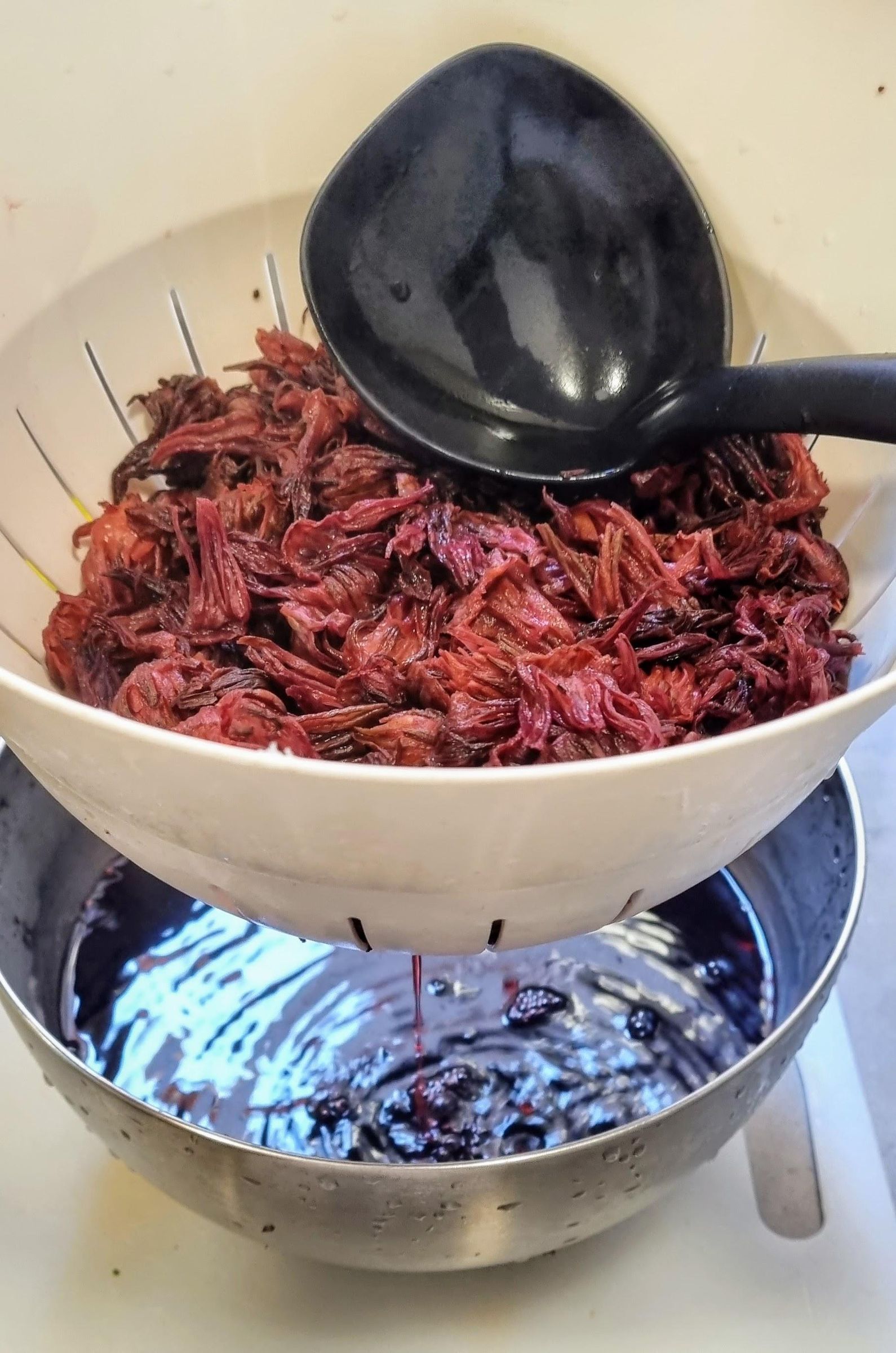 Fully Vegan "Tacos De Jamaica" (Hibiscus Flower Tacos) : 7 Steps (with ...