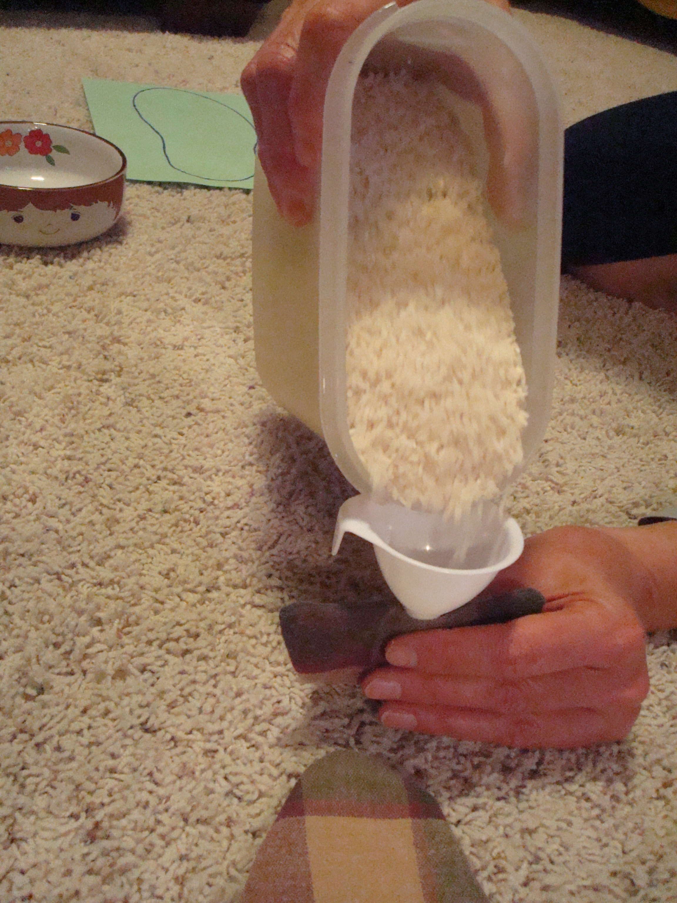 Roasty, Toasty Slipper Rice Inserts to Keep Your Tootsies Warm : 5 ...