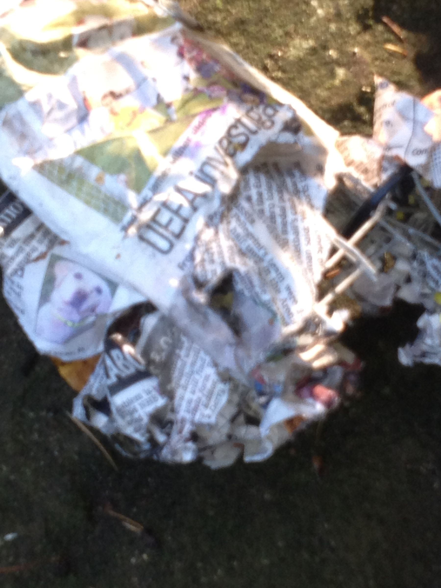 Decomposed Corpse : 5 Steps - Instructables