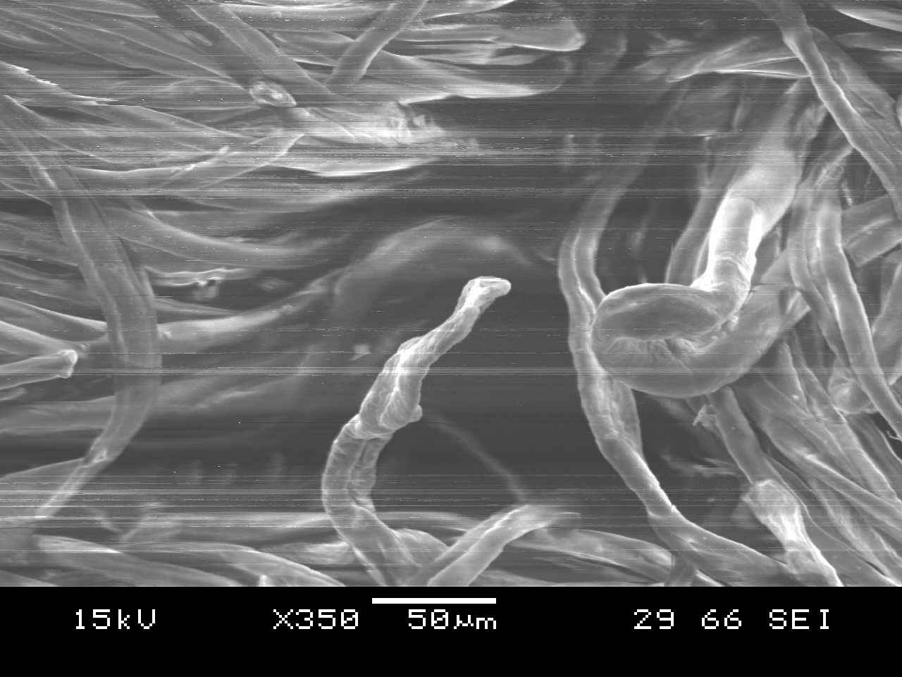 Water Filtration Using Fabric : 9 Steps (with Pictures) - Instructables