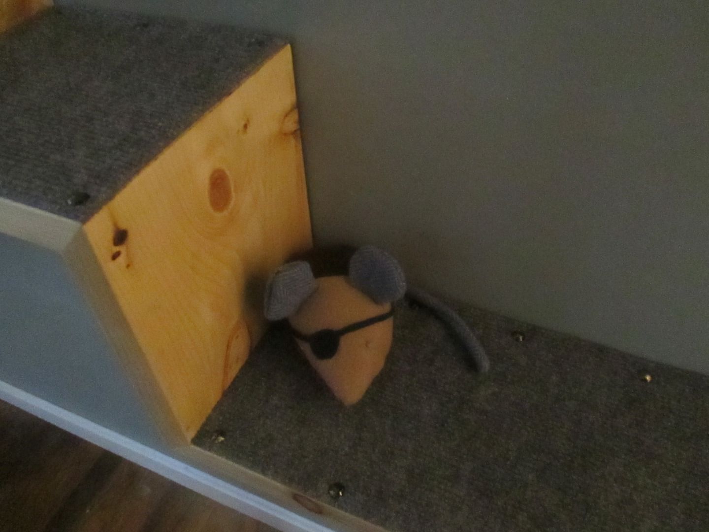 Cat Adventure and Escape Wall : 12 Steps (with Pictures) - Instructables