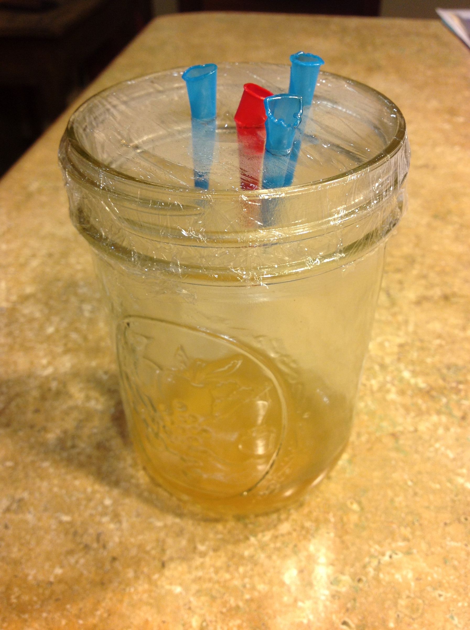 Fruit Fly Annihilator : 6 Steps - Instructables