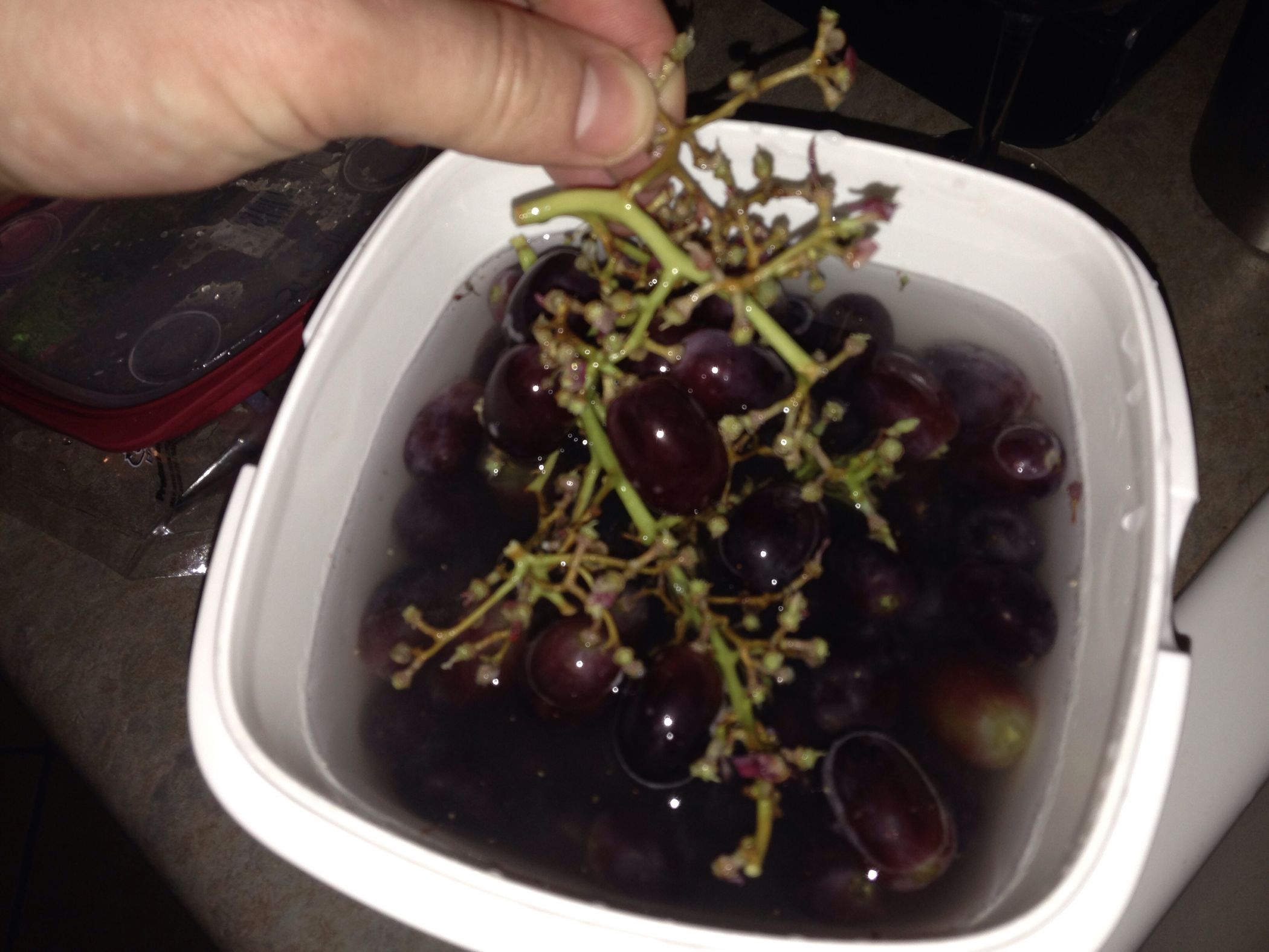 EASILY De-stem Grapes - Instructables