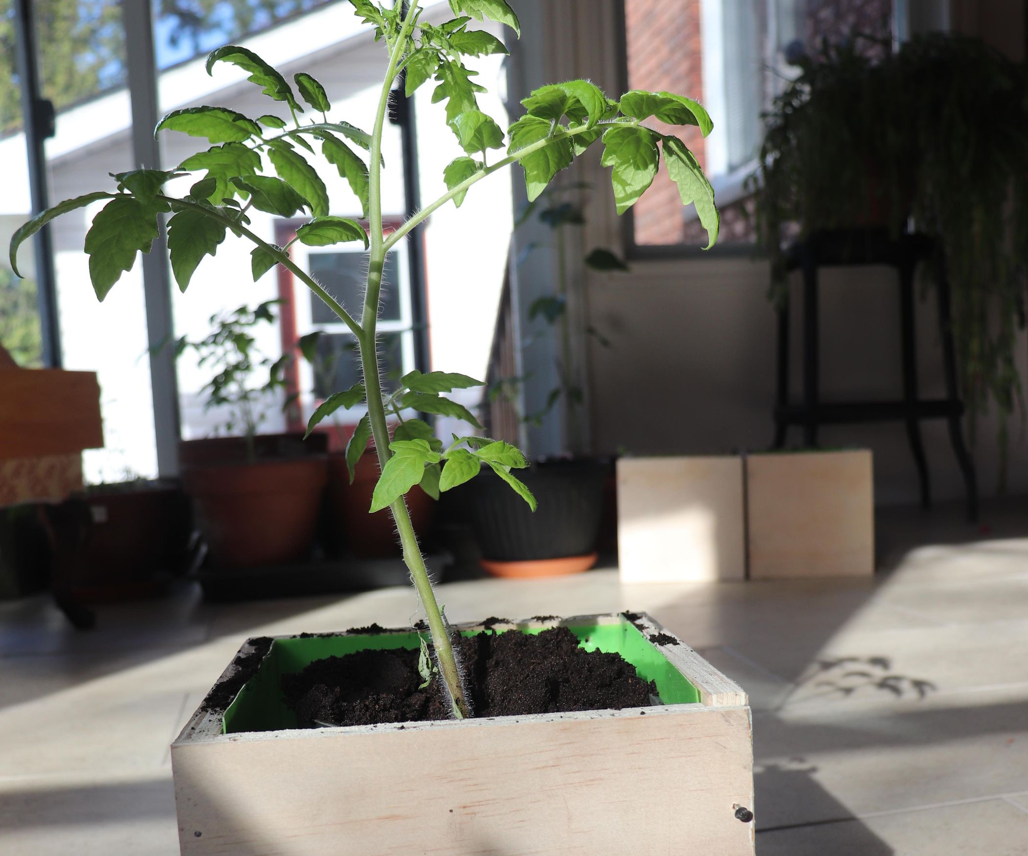 Easy Release Transfer Planter : 5 Steps (with Pictures) - Instructables