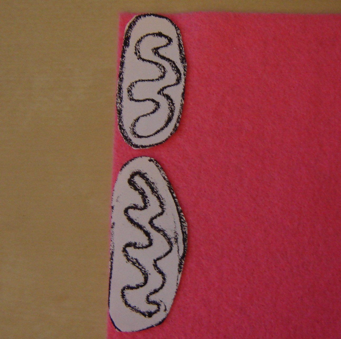 Plush Cell Model : 13 Steps (with Pictures) - Instructables