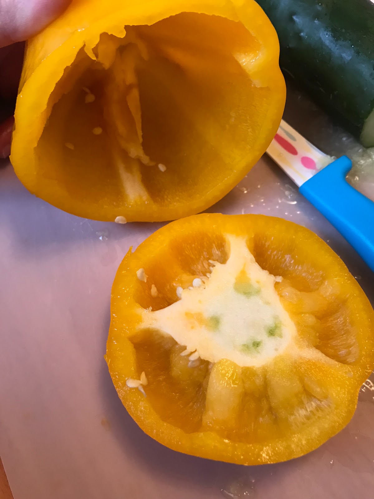 Vegetable Instrument : 14 Steps - Instructables