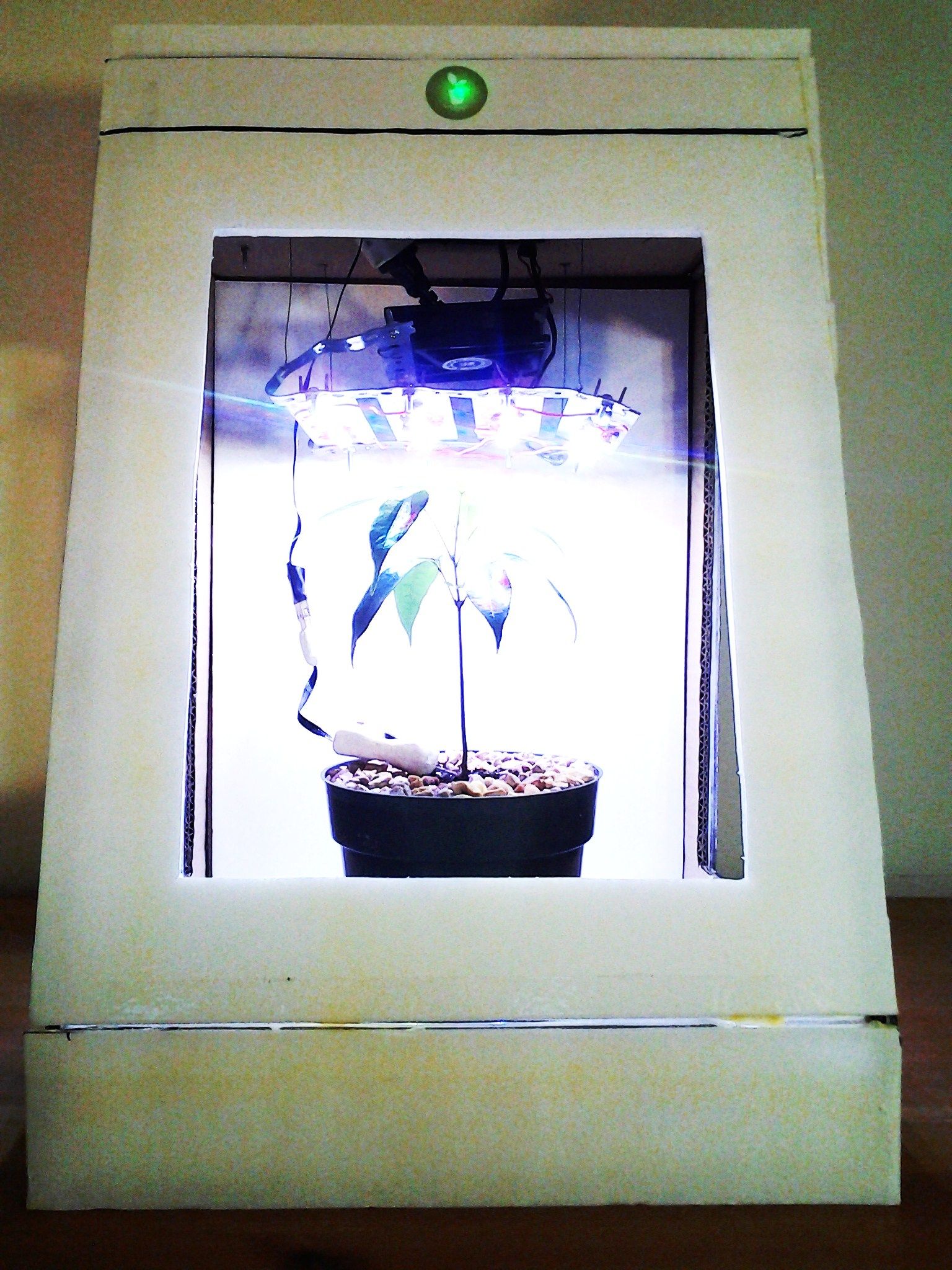 The Plant Box : 6 Steps - Instructables