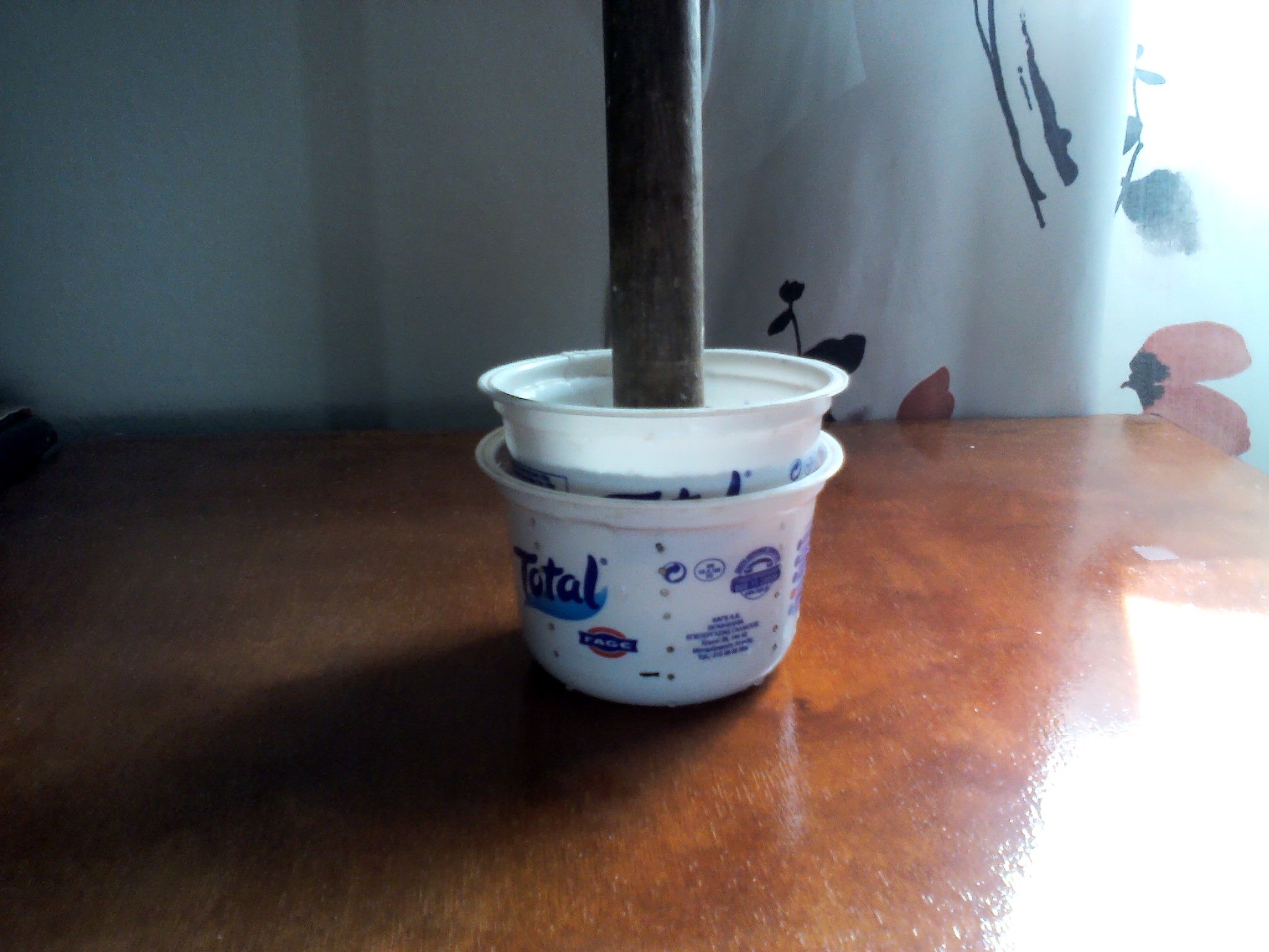 Homemade Firelighter : 14 Steps - Instructables