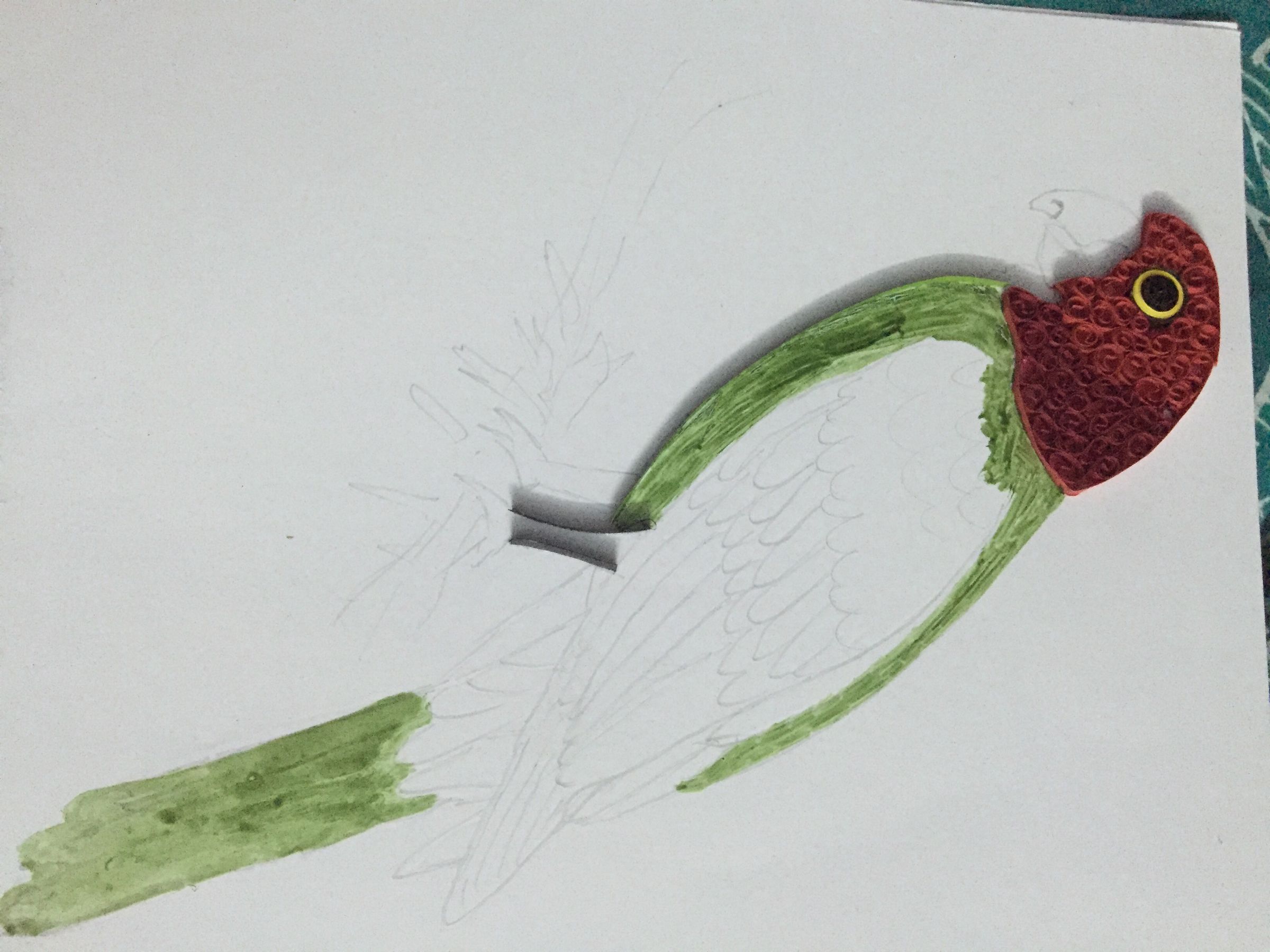 Quilled Parrot (with Pictures) - Instructables