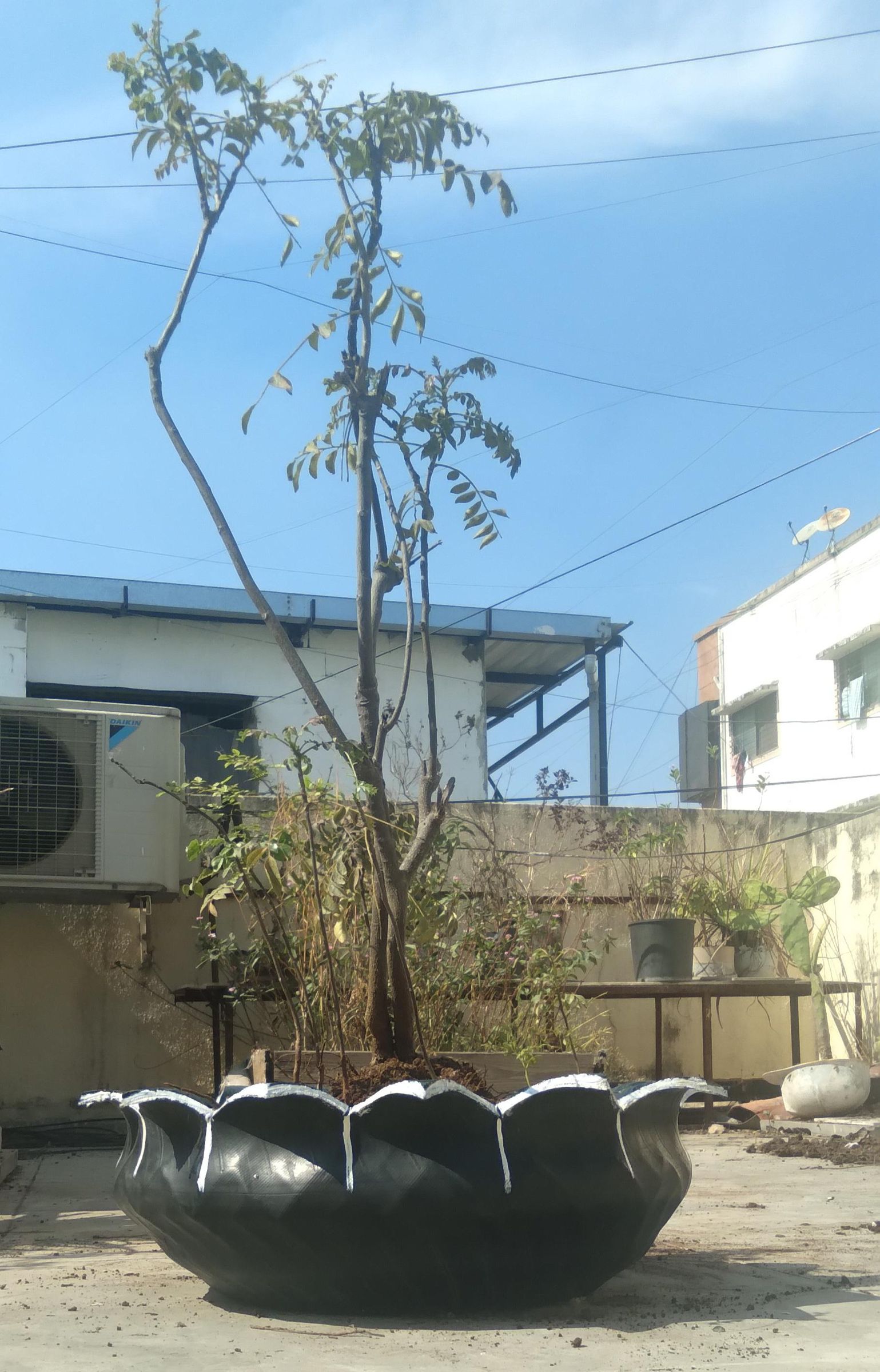 Recycling Tyre & Converting It Into a Plant Pot : 17 Steps (with ...