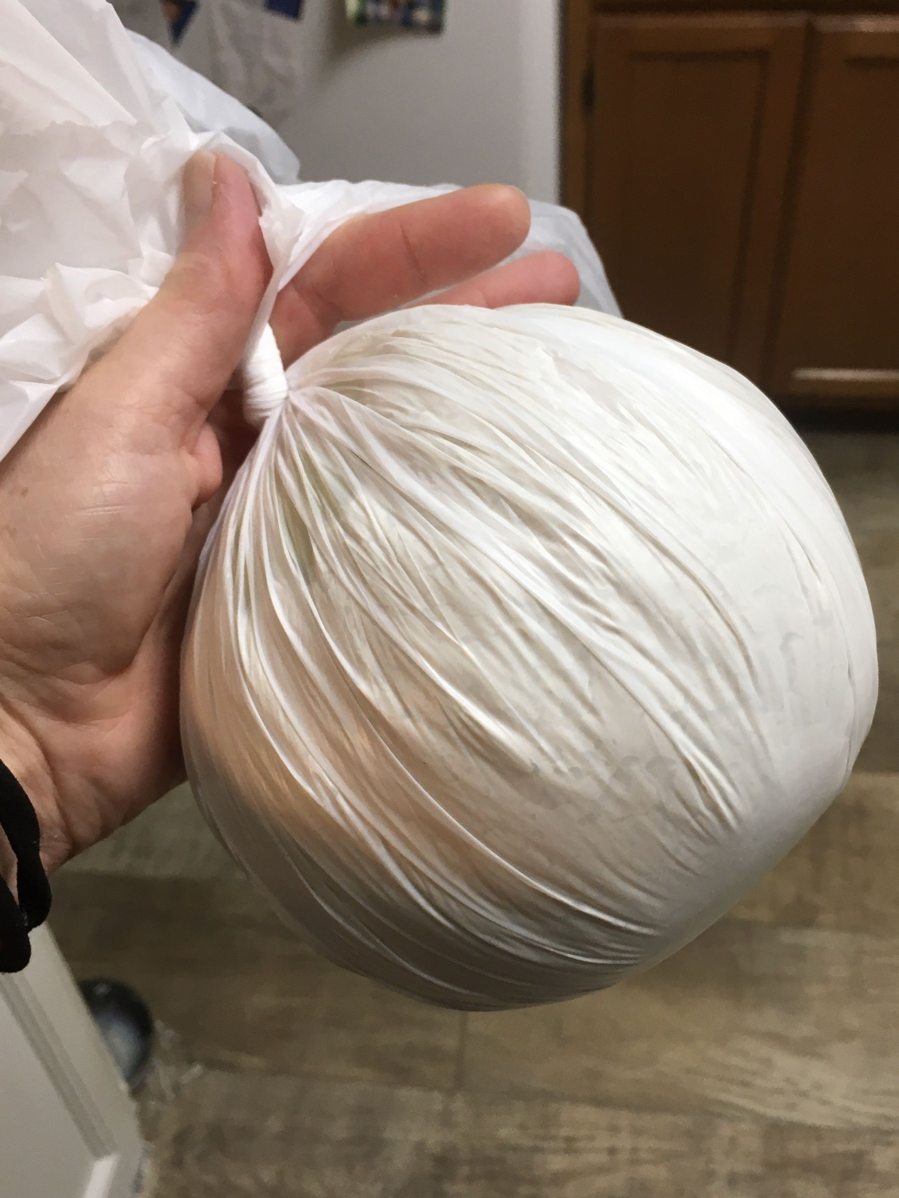 Barnacle Sculptures--and an Experiment With 2 Kinds of Homemade Paper ...