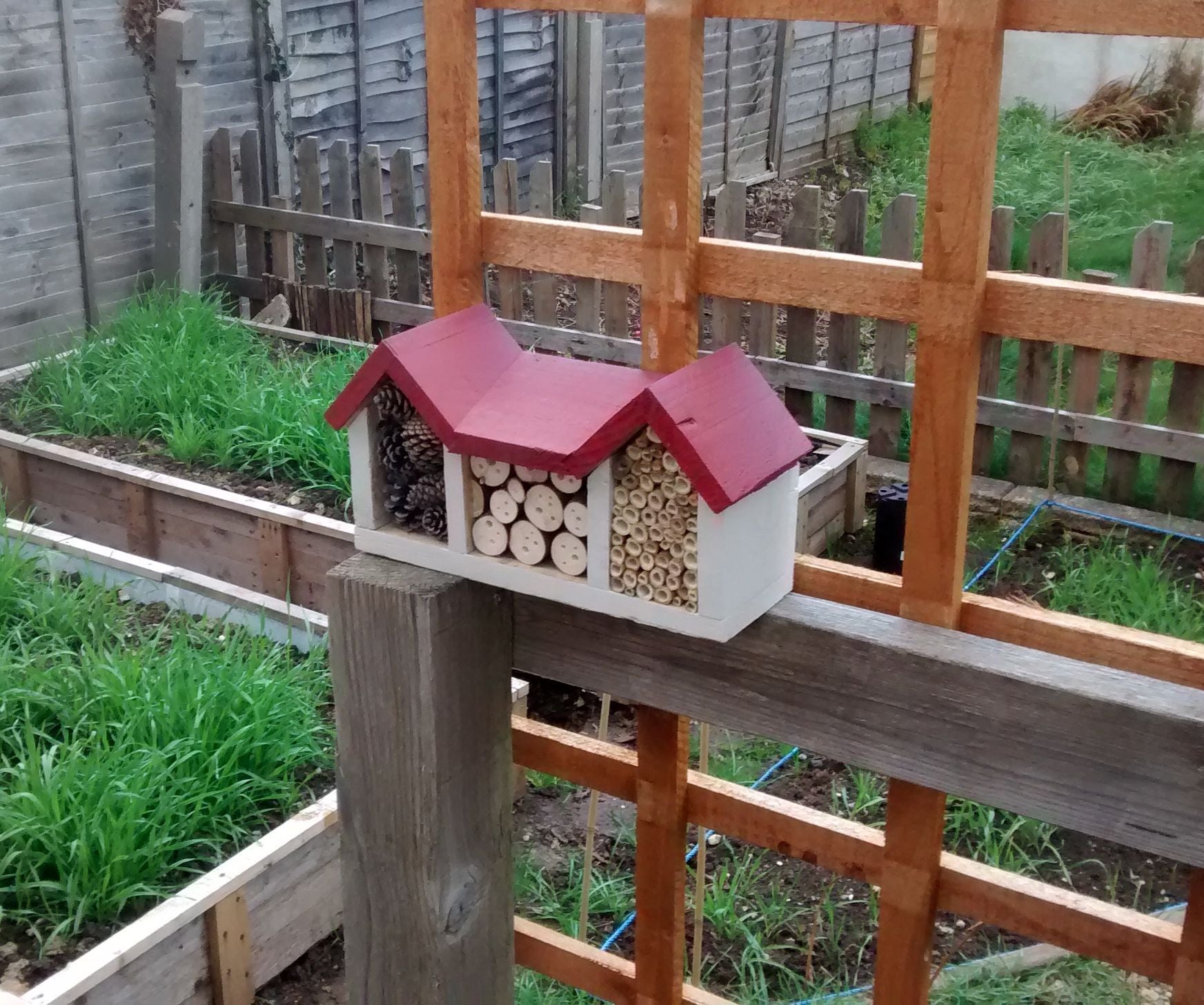 Insect/Bee House : 9 Steps (with Pictures) - Instructables