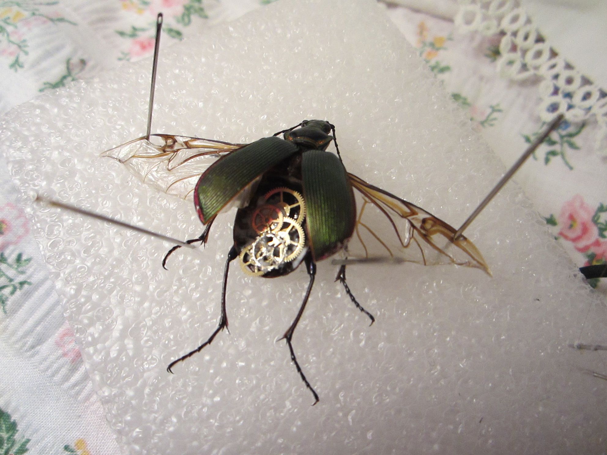 Clockwork Beetle : 6 Steps (with Pictures) - Instructables