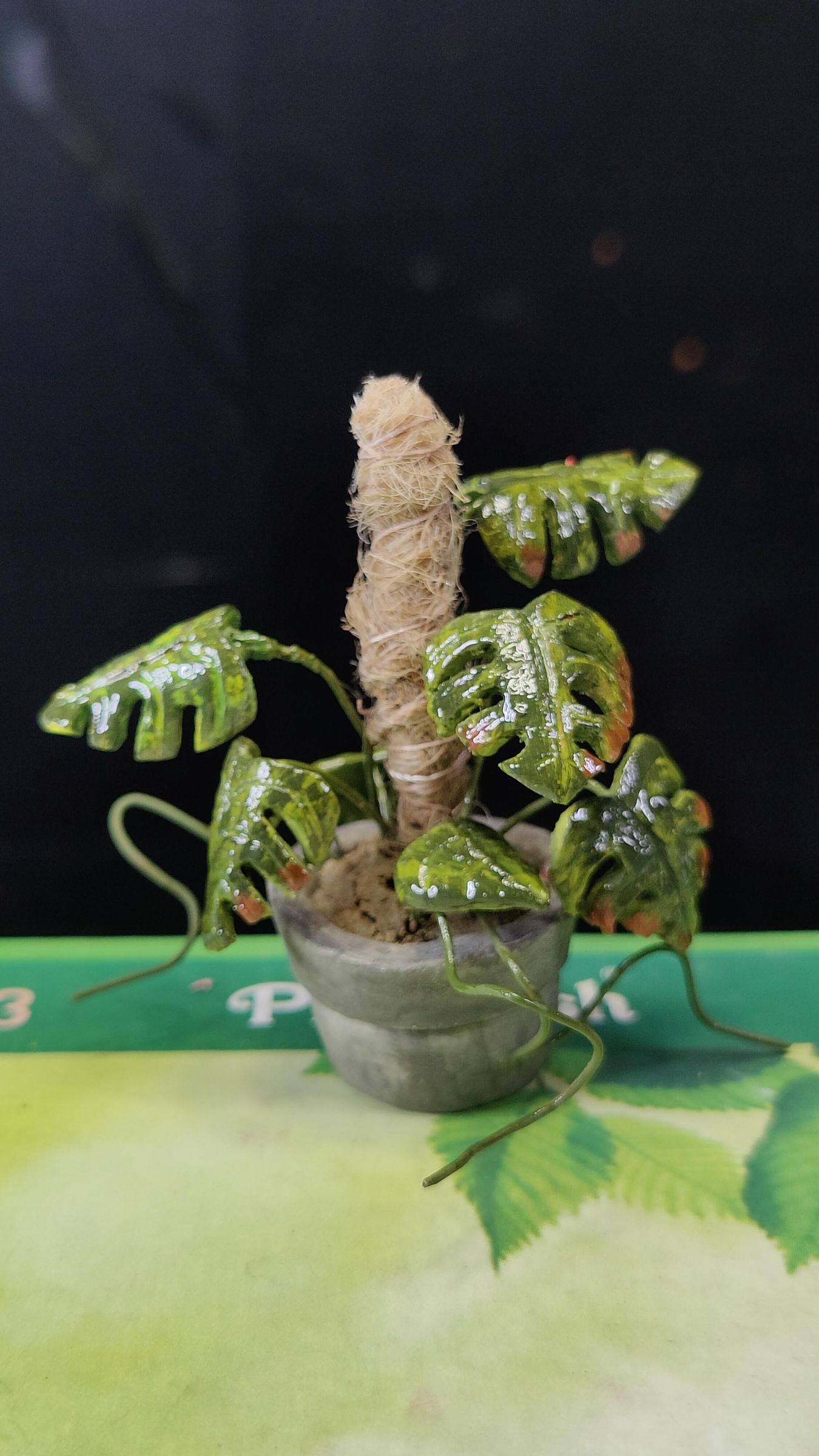 Mini Plant - Perfect for Your Miniature Balcony Garden Using Clay! : 4 ...
