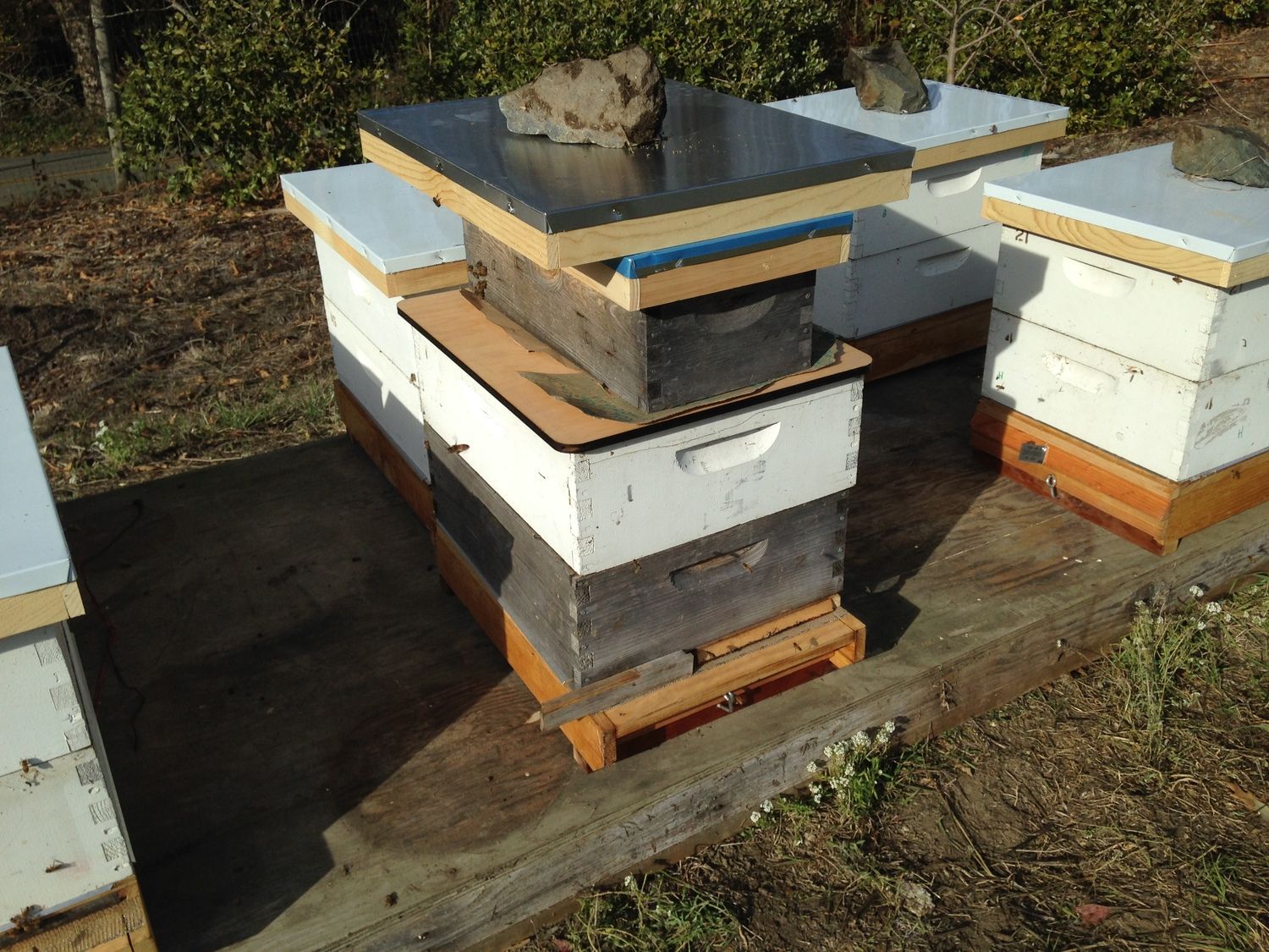 Nucleus Colony -or- How to Start a Beehive : 8 Steps (with Pictures ...