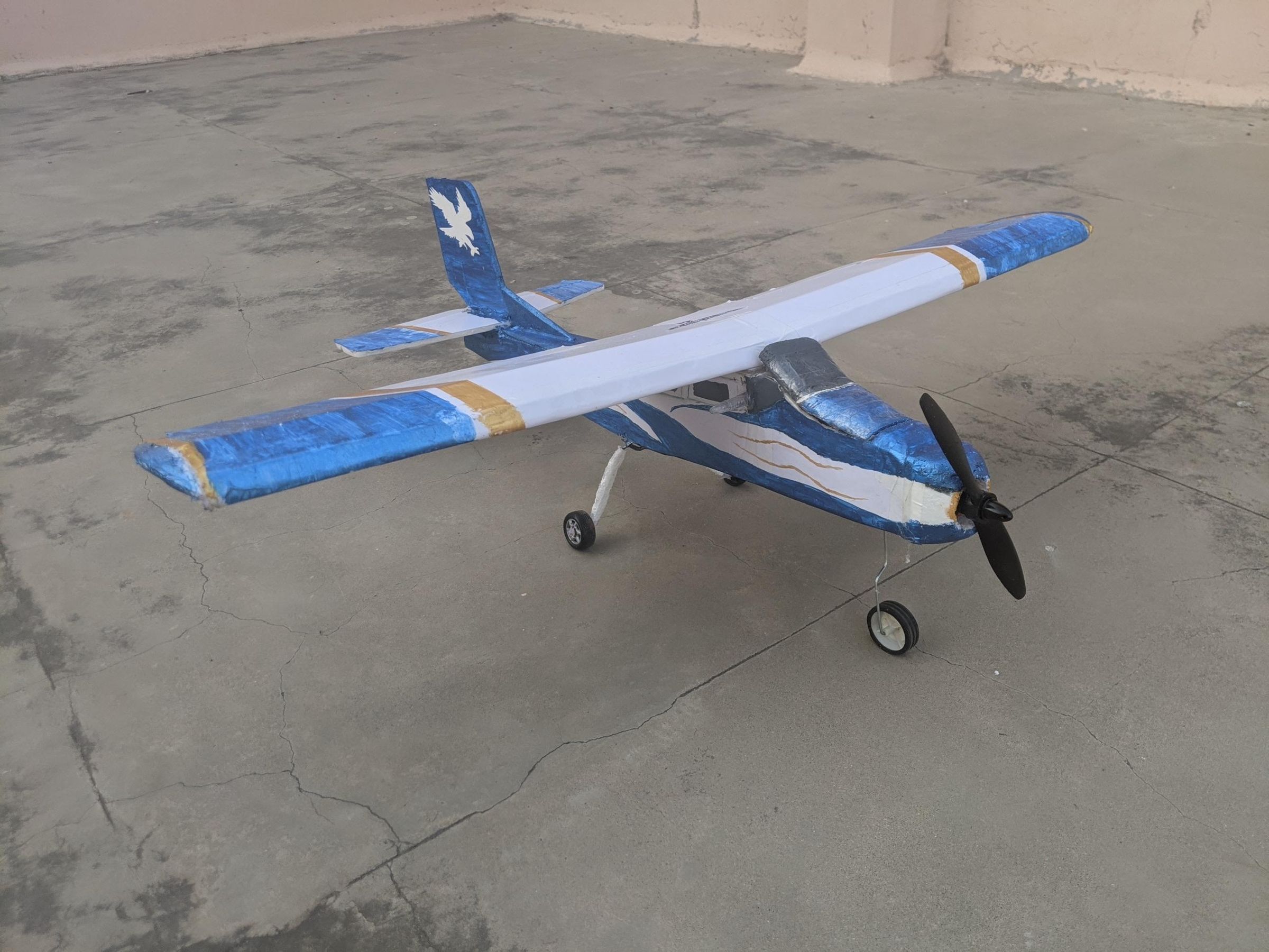 Homemade RC Cessna Skyhawk Plane EASY BUILD : 7 Steps (with Pictures ...