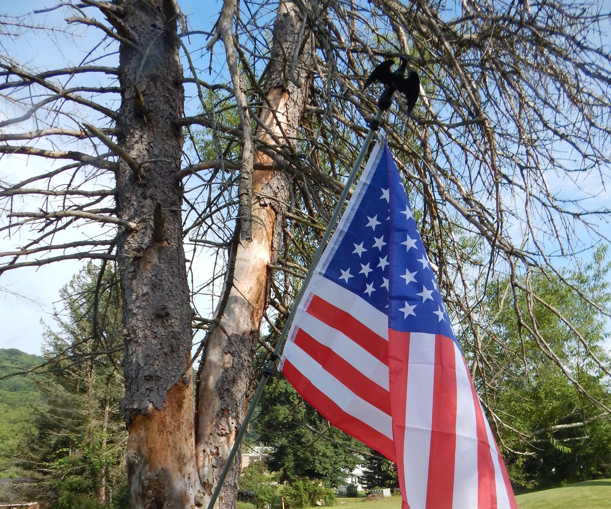 DIY Collapsible Flagpole Made From EMT Conduit : 6 Steps - Instructables