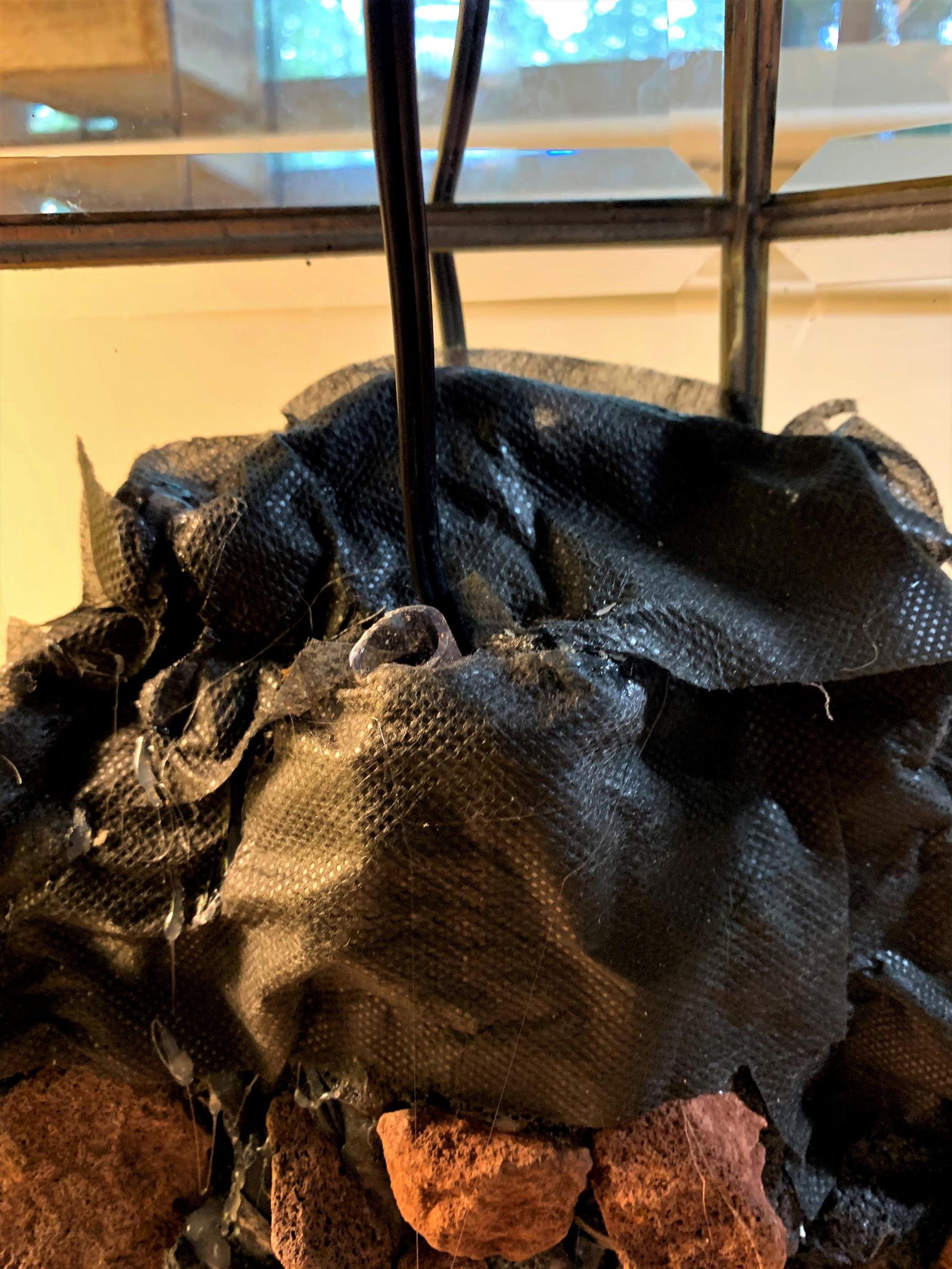 Repurposed Glass Chandelier Into Live Moss Drip Wall and Faux Terrarium ...