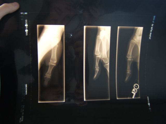 Computer Screen X-Ray Viewer : 4 Steps - Instructables