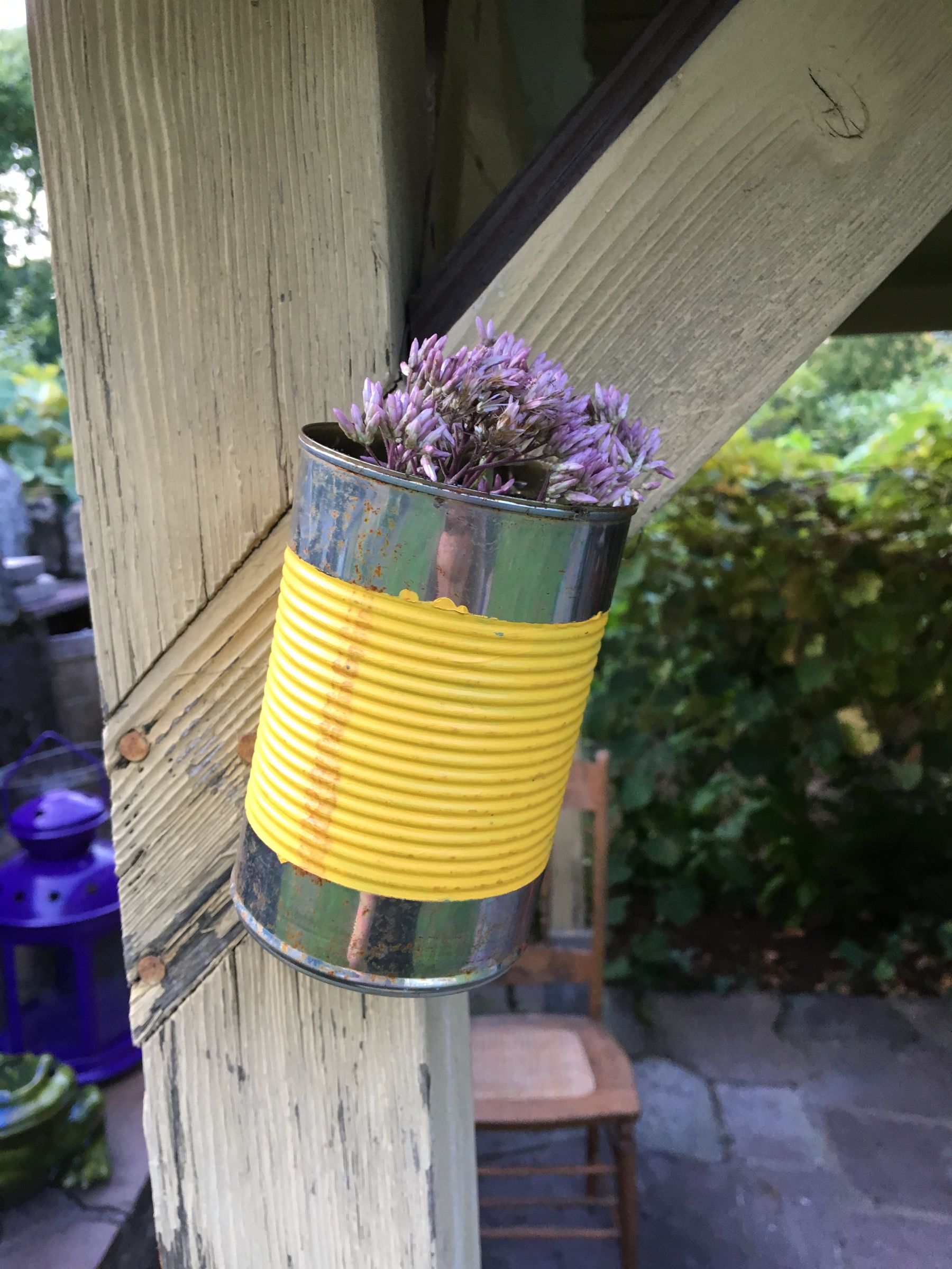 Tin Can Garden : 4 Steps (with Pictures) - Instructables