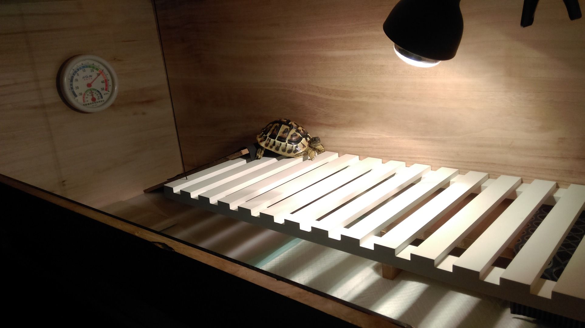 Tortoise's Floating Apartment : 5 Steps (with Pictures) - Instructables