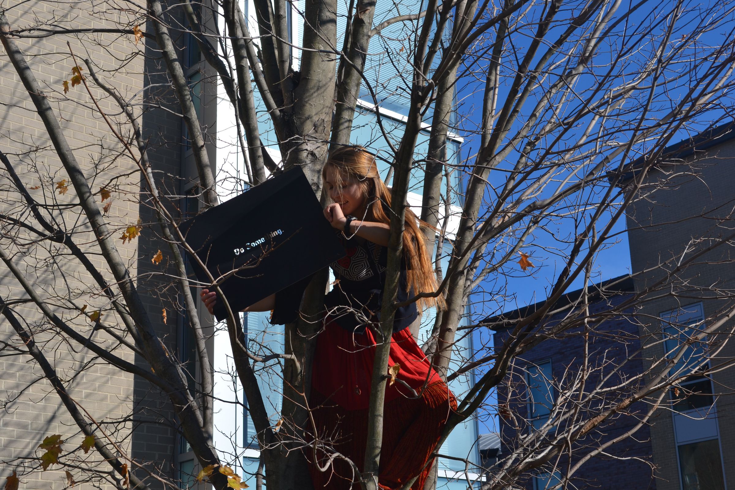 How to Make an Awesome Laser Cut Poster : 4 Steps - Instructables